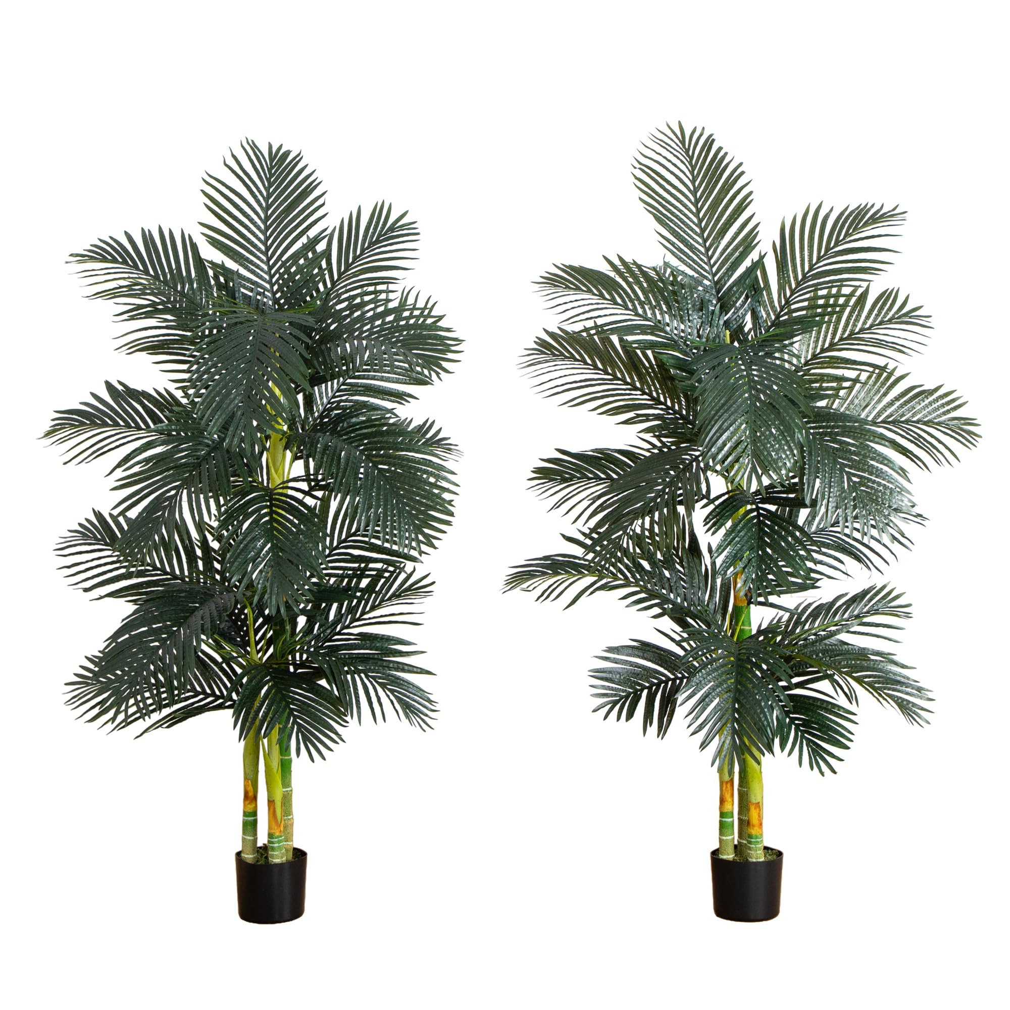 Amazon.com: Nearly Natural 6-FT Artificial Golden Cane Palm Tree Set of ...