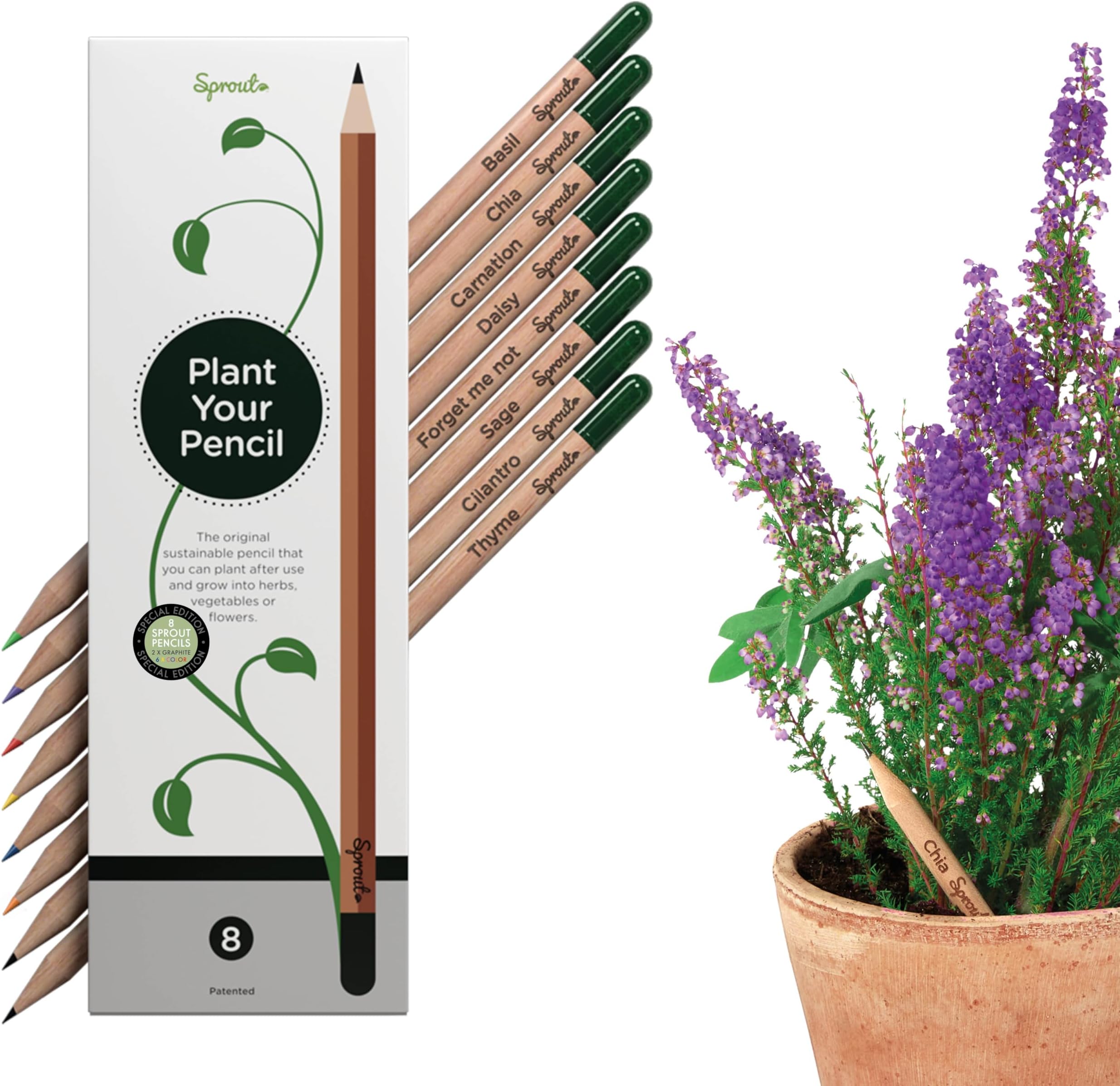 Sprout Wood-Cased Pencils | Colored & Graphite | Mix Edition | HB Pre ...