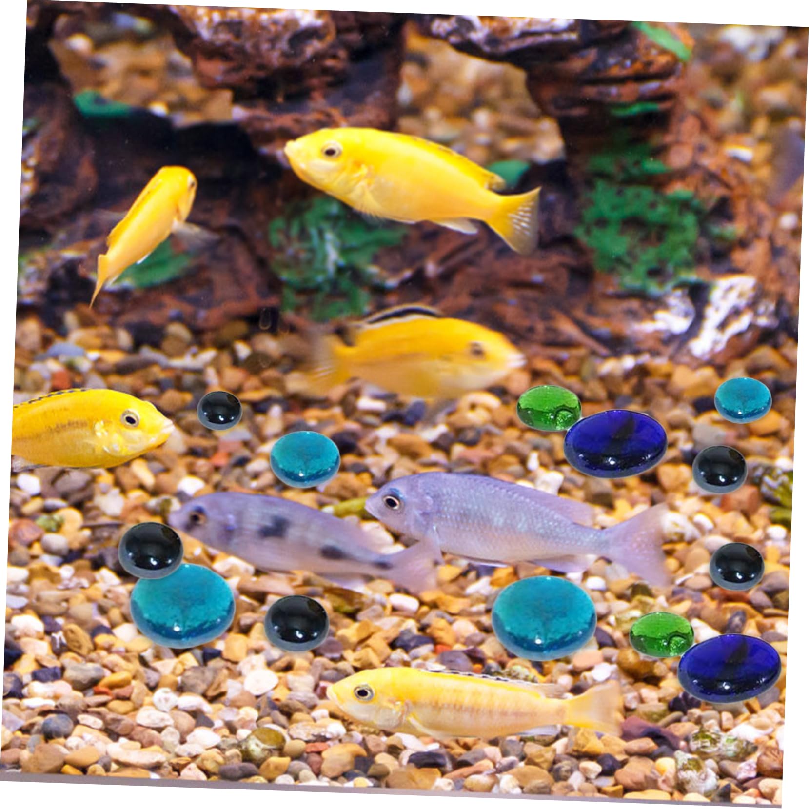 Colored Rocks For Fish Tanks