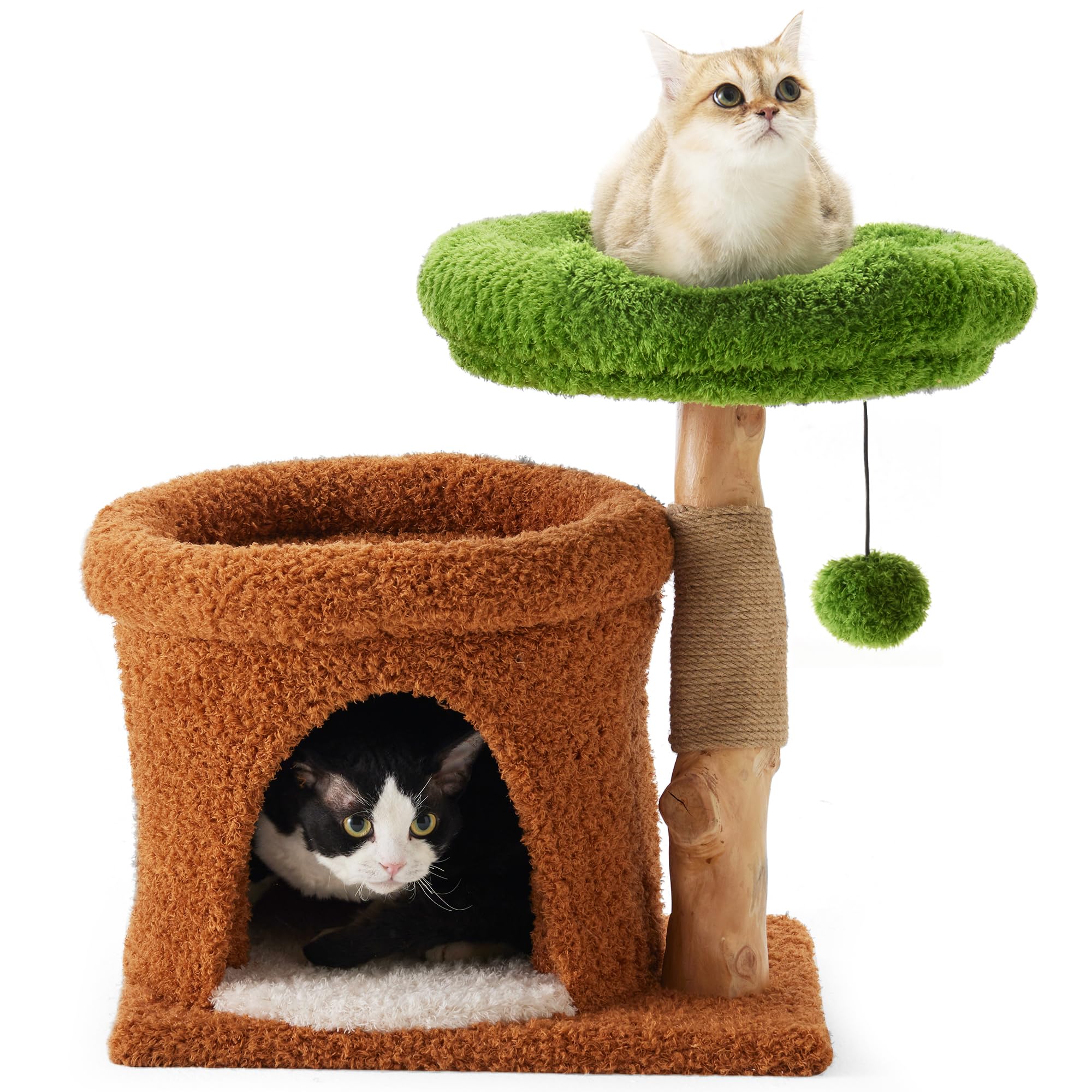 Snapklik.com : FUKUMARU Small Cat Tree, Plant Style Kitten Tower