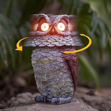 Amazon.com: QZVANLON Solar Owl Statue Light-Up Eyes Spring Mounted ...