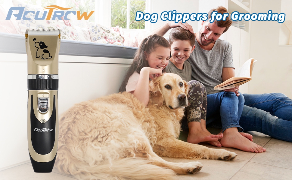Watch How to use pet shaver on Amazon Live