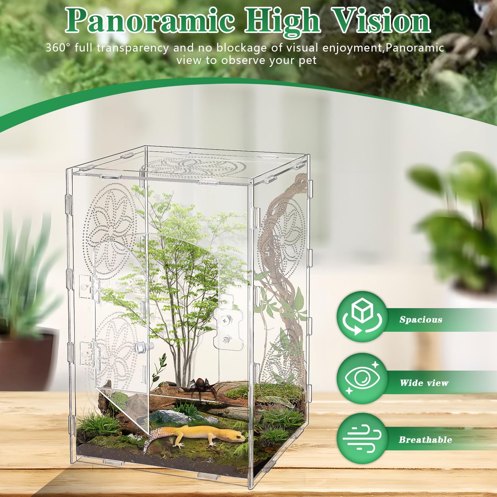 Snapklik.com : Jumping Spider Enclosure, 11.8x7.8x6 Inch Jumping Spider ...