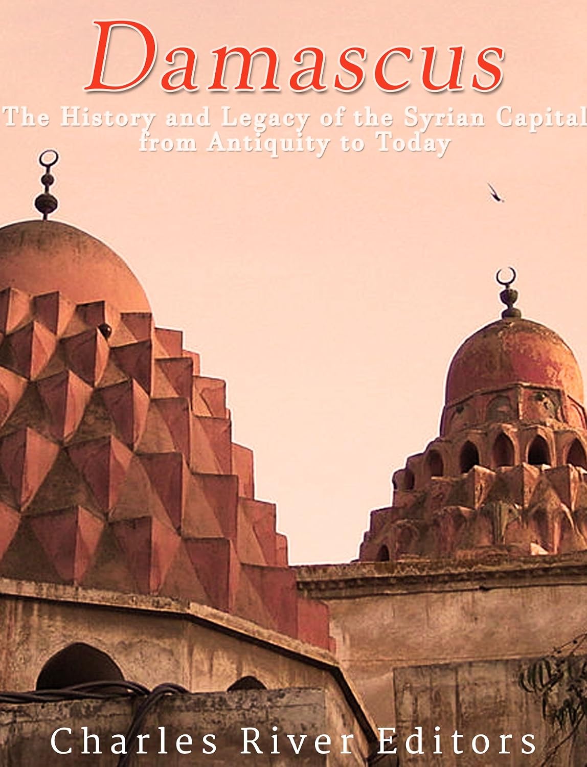 Amazon.com: Damascus: The History and Legacy of the Syrian Capital from ...