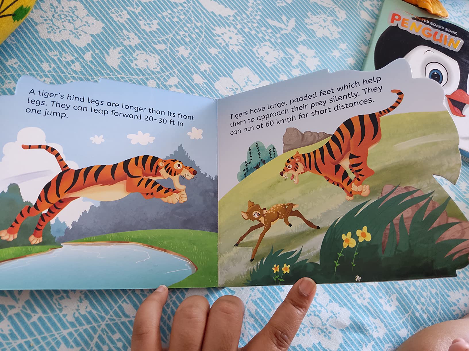 Buy My First Shaped Board book - Tiger, Die-Cut Animals, Picture Book ...