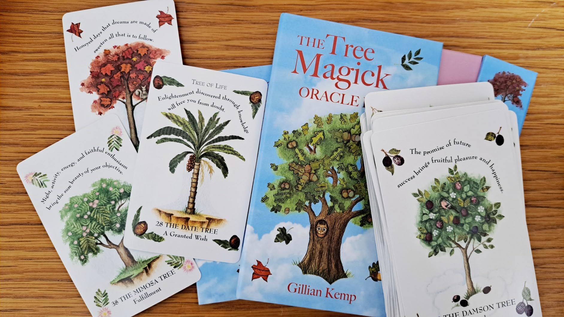 Amazon | The Tree Magick Oracle Deck: Includes 52 cards and a 64-page ...