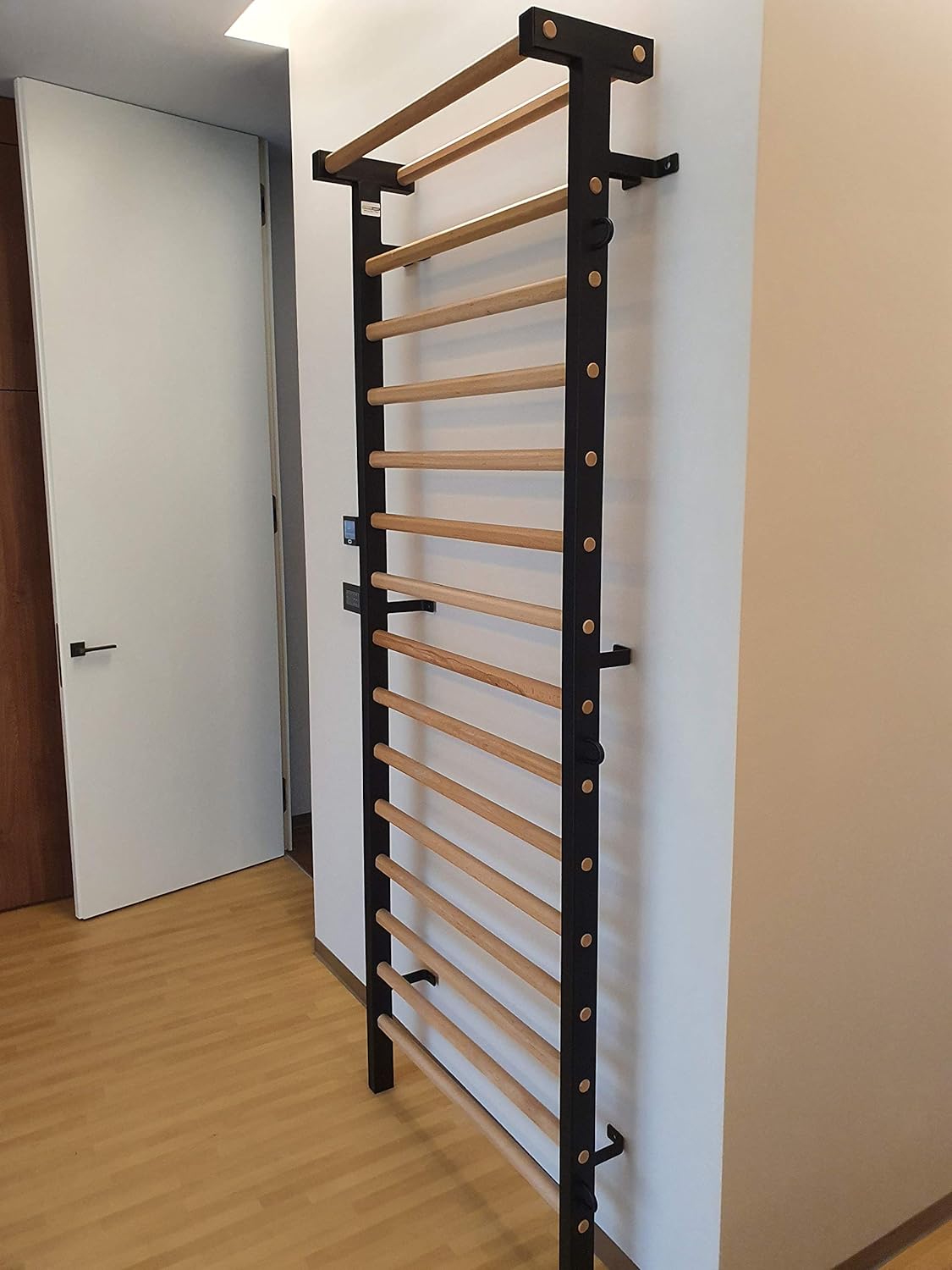 Amazon.com : ARTIMEX Stall Bars Metal/Wood (Swedish Ladder) for ...