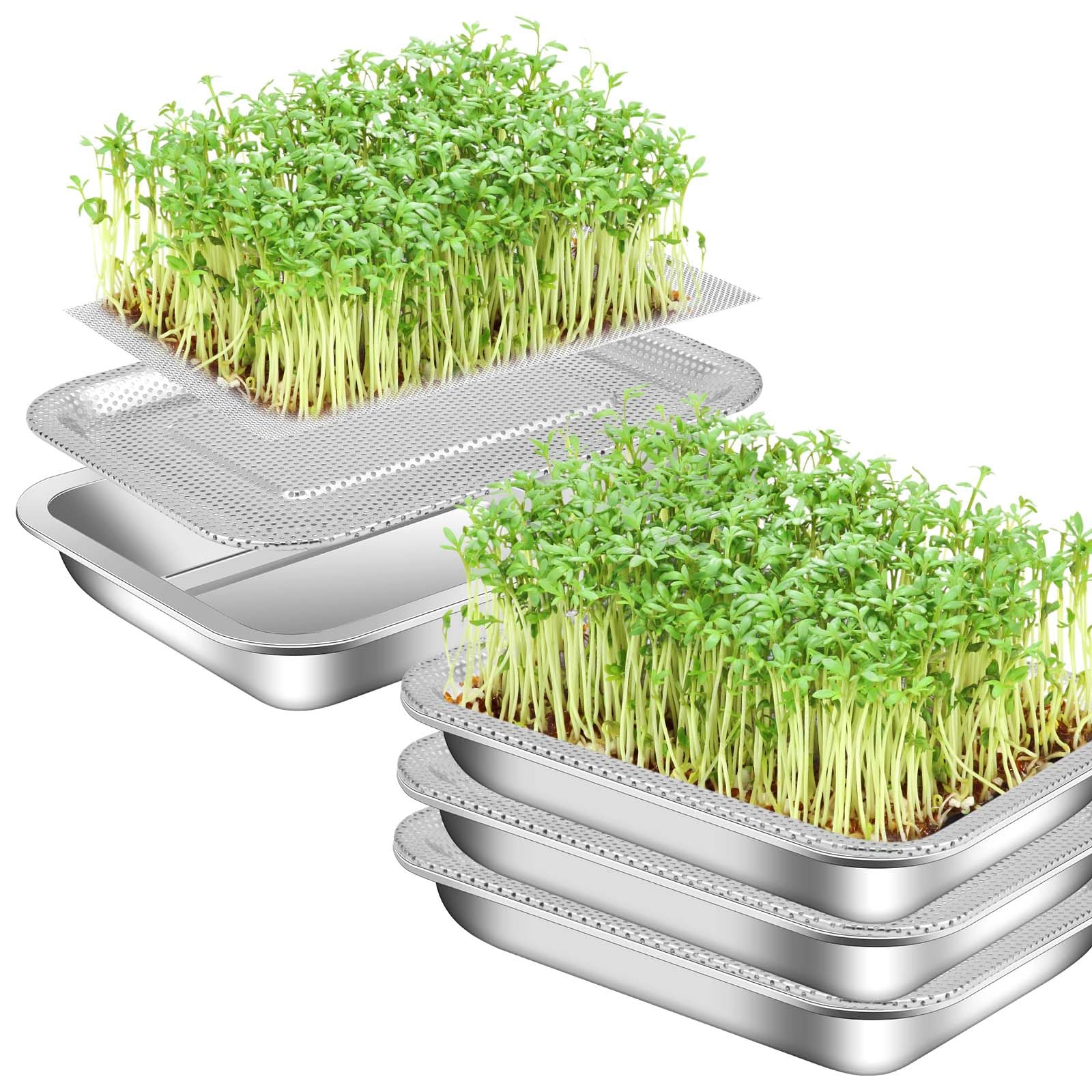 Amazon.com : FillTouch 9 Pcs Spring Stainless Steel Seed Sprouting Kit ...