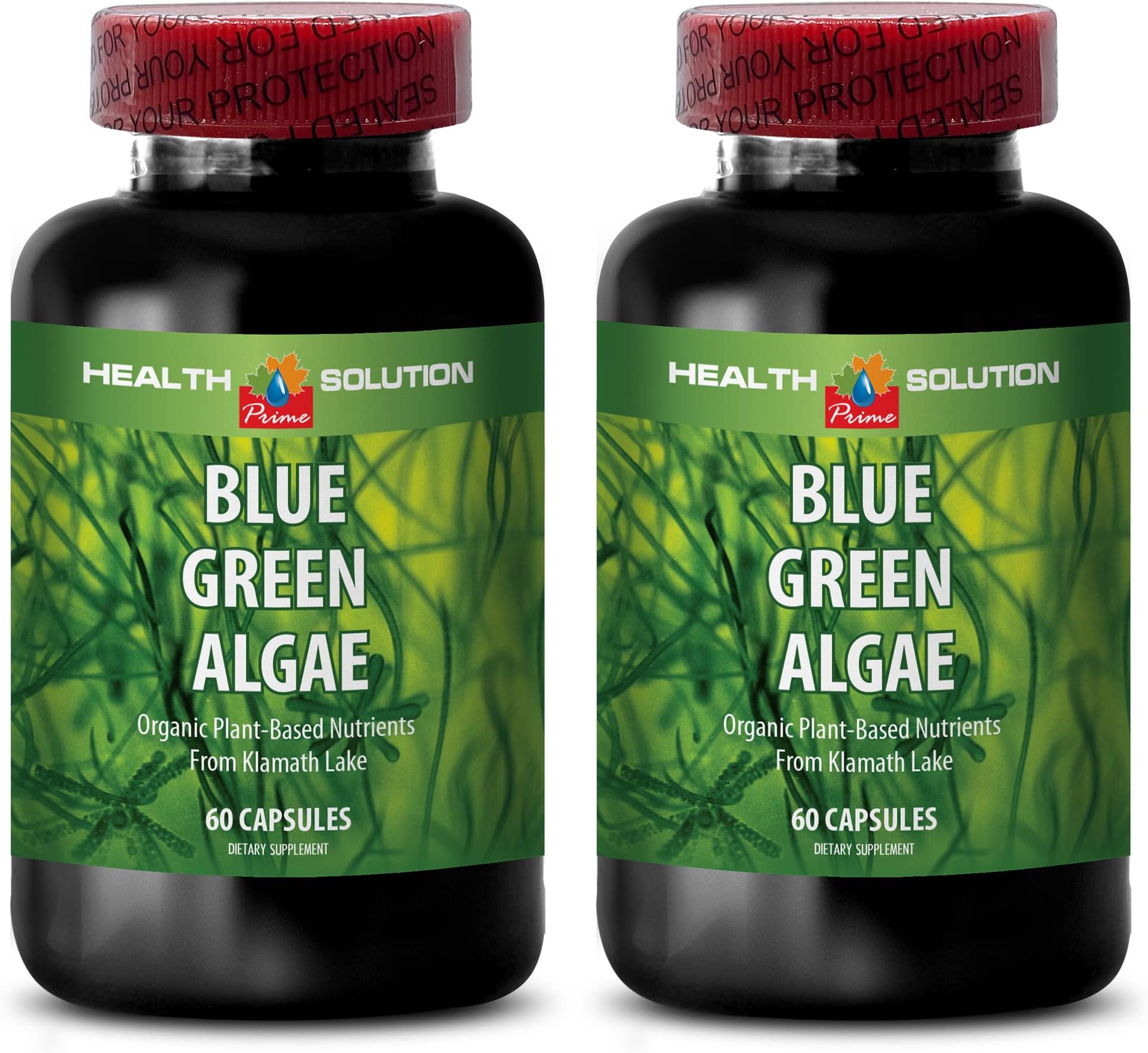 Amazon.com: Klamath Blue Green Algae 60 Tablets by Power Organics ...