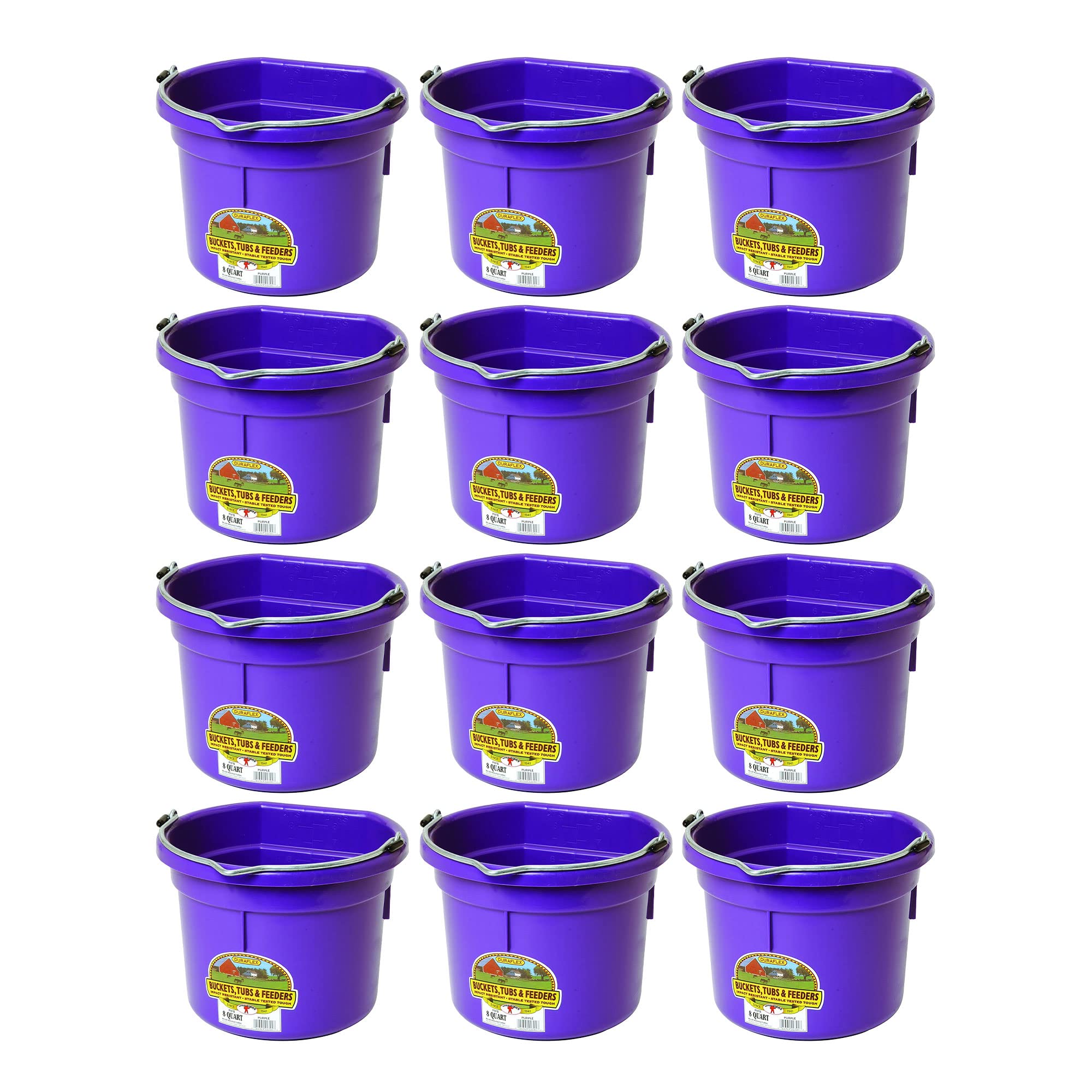 Amazon.com: Little Giant P8FBPURPLE 2 Gallon All Purpose Heavy Duty ...