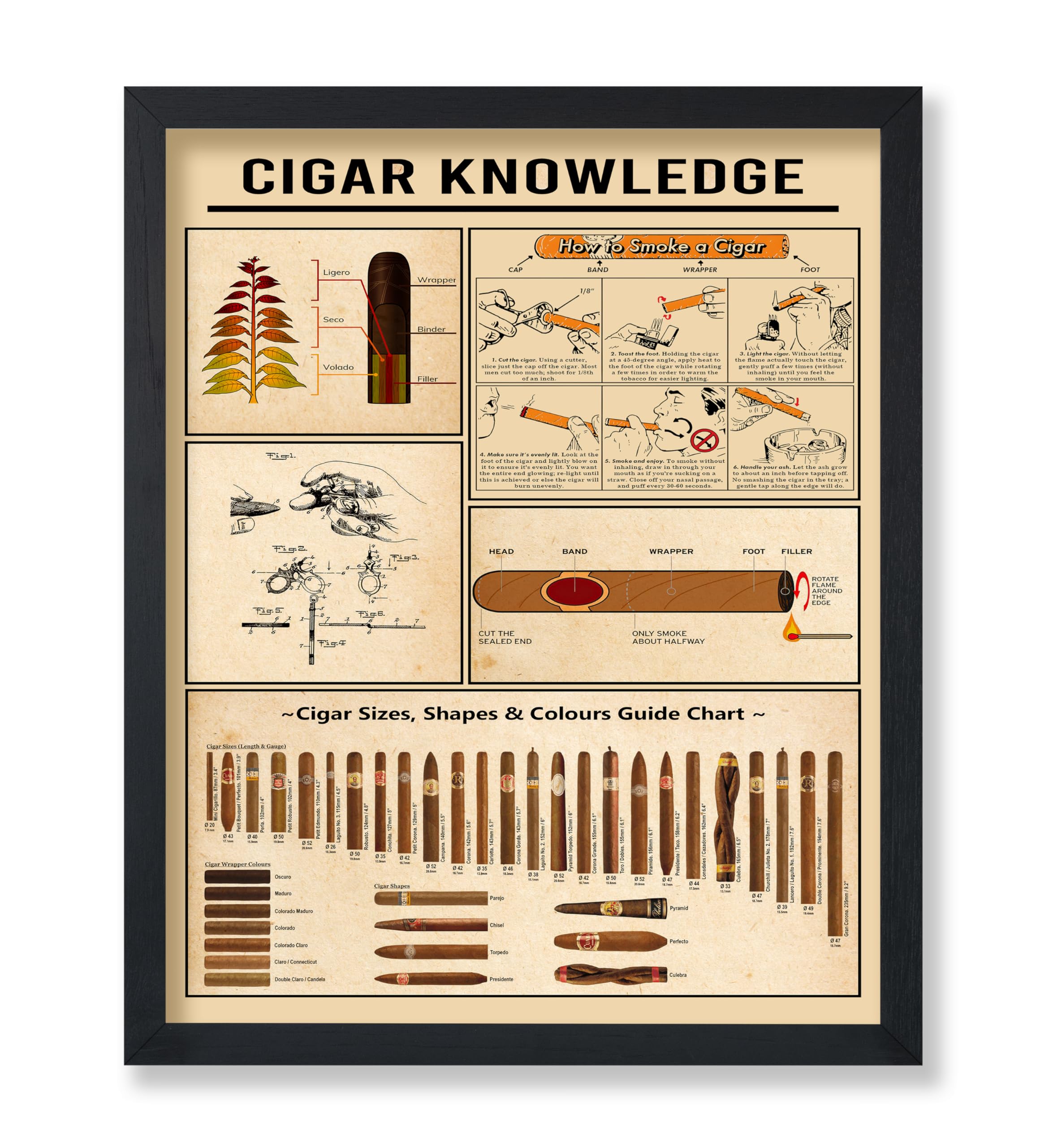 Amazon.com: Poster Master Cigar Knowledge Poster - Cigar Sizes, Shapes ...