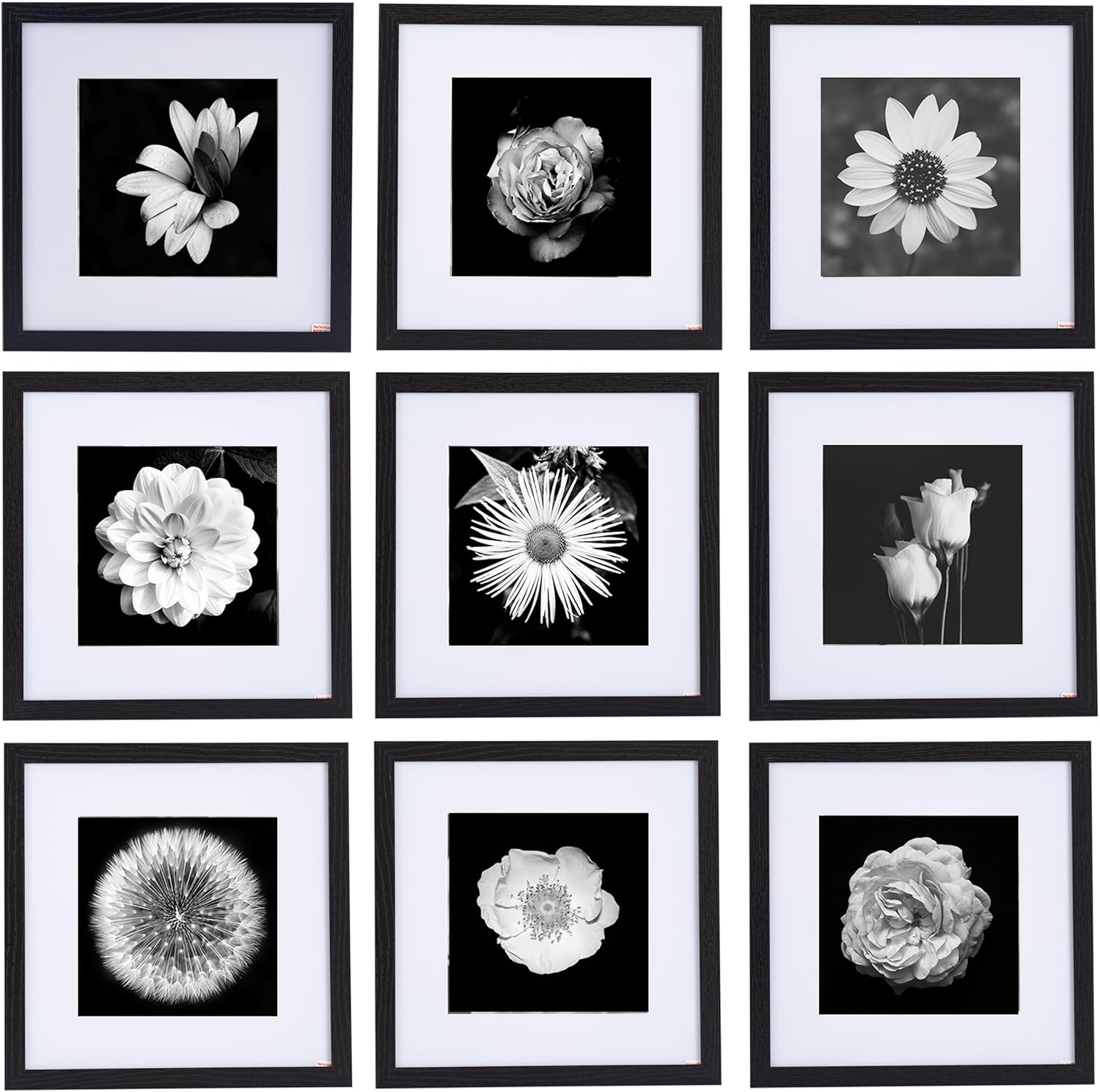 Amazon.com - INNOVATIVE HAUS 12x12 Picture Frame Black - Display 8x8 ...