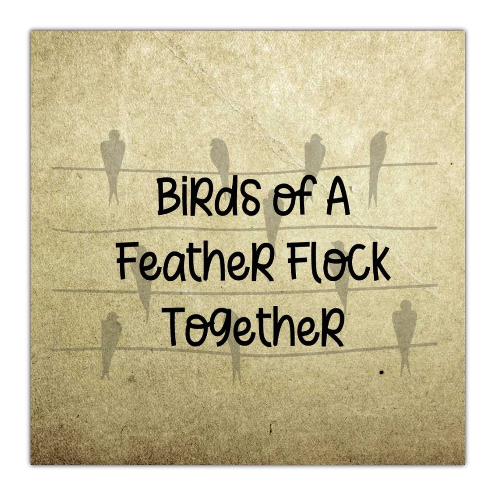 Images Of Birds Of A Feather Flock Together Birds Of A Feather Flock