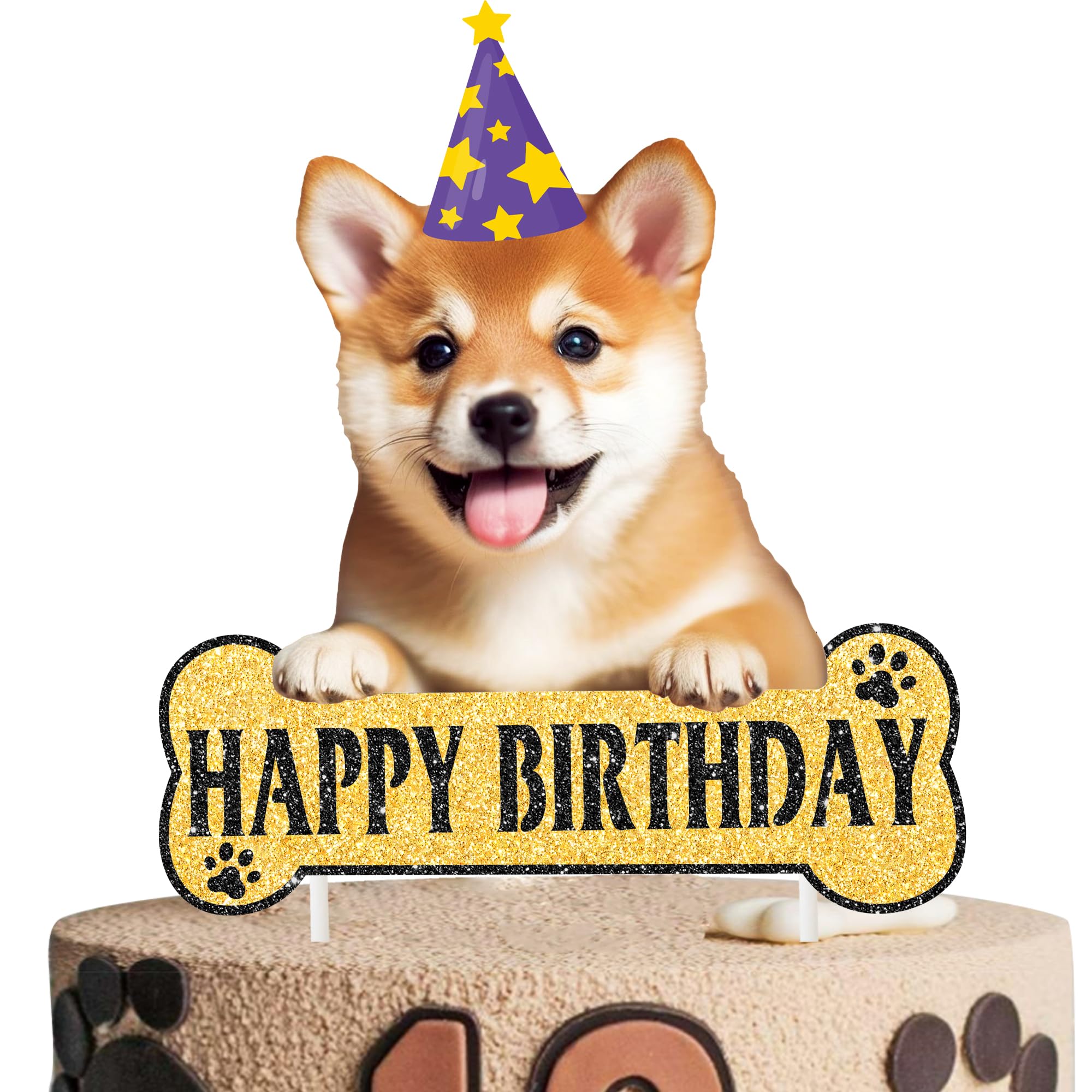 Shiba Birthday Memes Shiba Inu's Birthday Month: How Will SHIB Perform