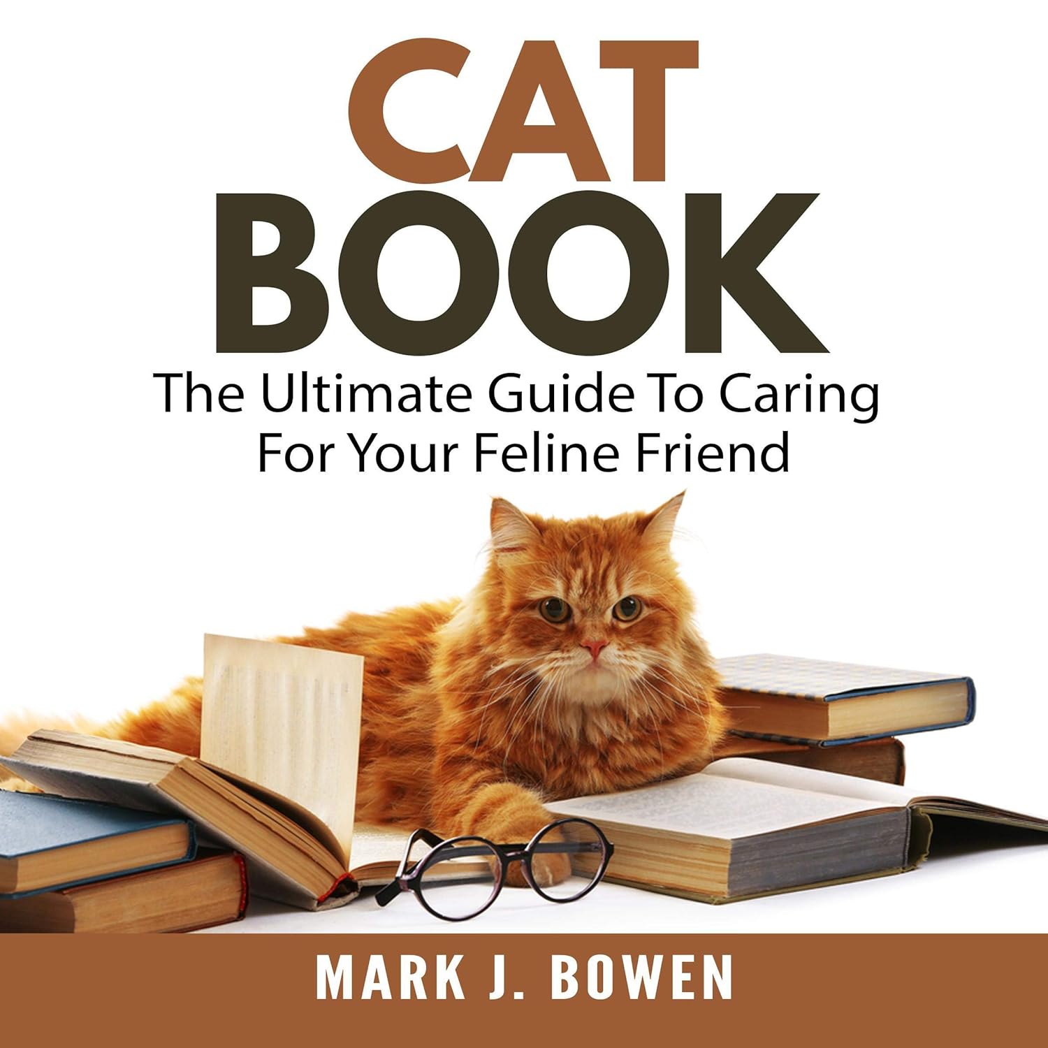 Amazon.com: Cat Book: The Ultimate Guide to Caring for Your Feline ...
