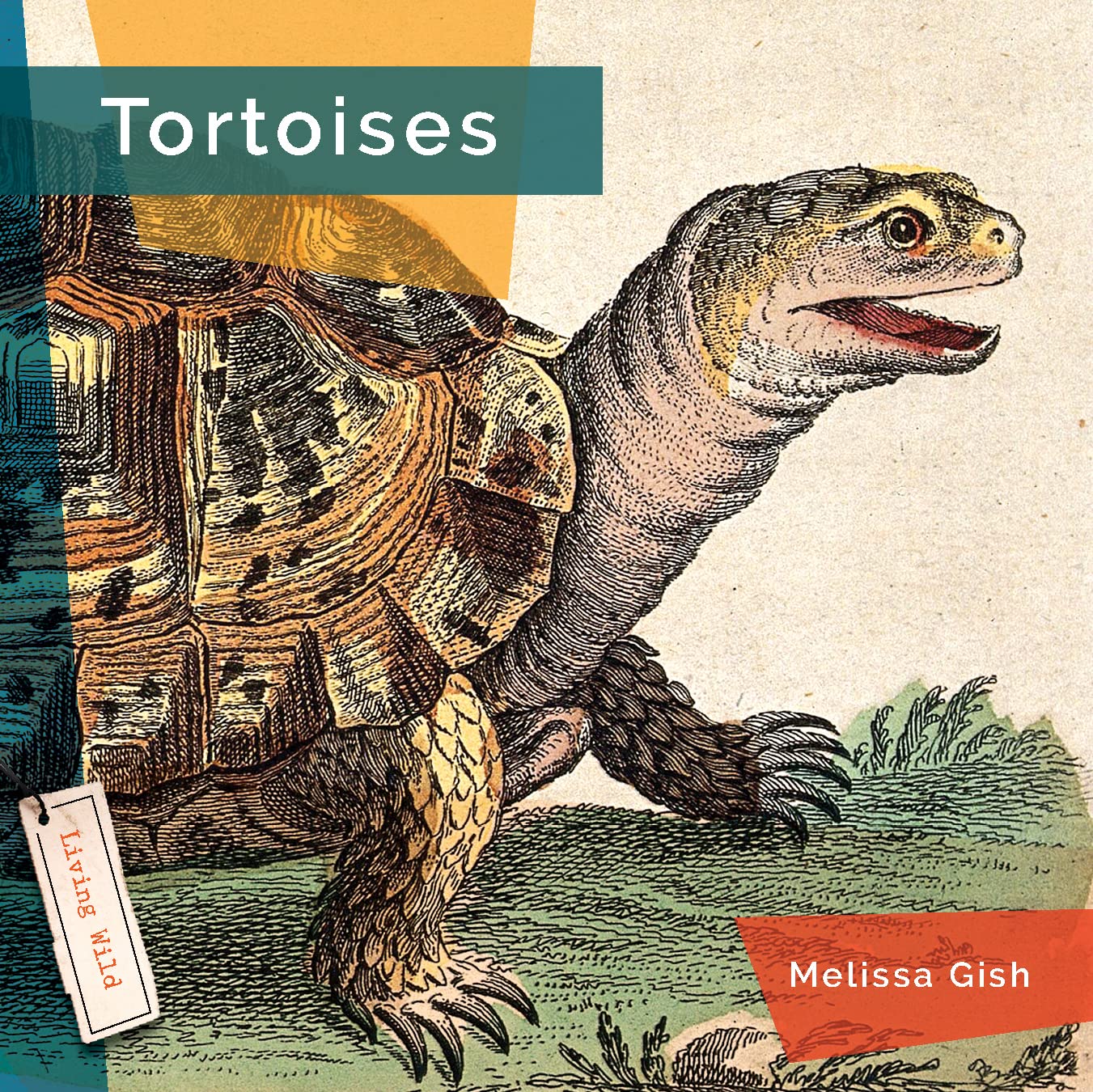 Tortoises (Living Wild): Gish, Melissa: 9781682771679: Amazon.com: Books
