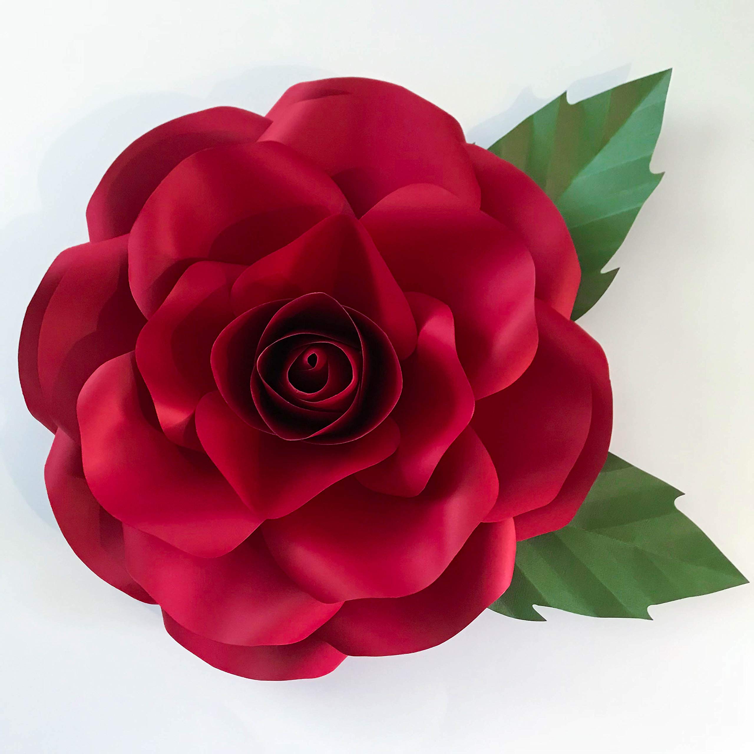Amazon.com : Medium Rose Template (15-16" Flower) : Arts, Crafts & Sewing