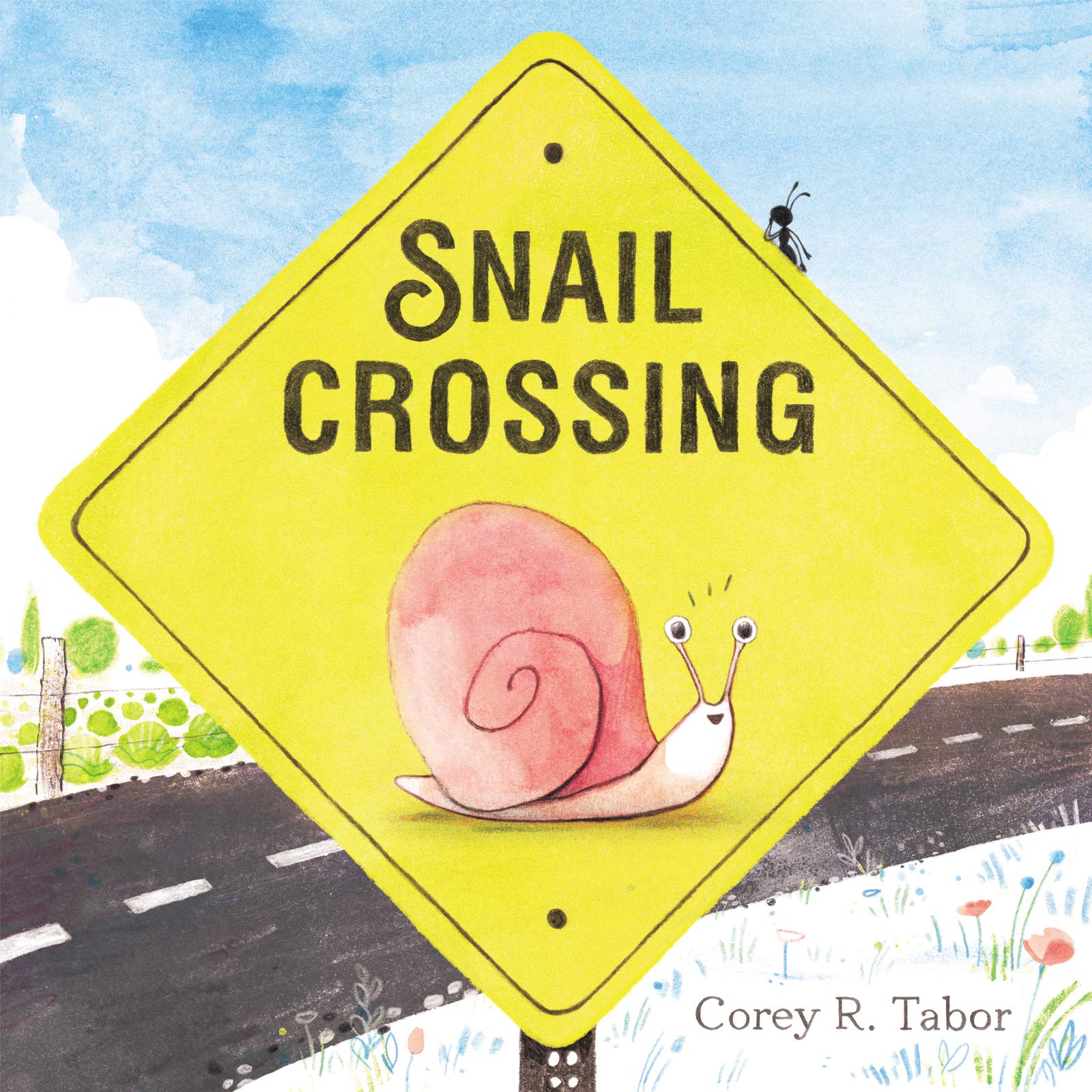 Snail Crossing: Tabor, Corey R., Tabor, Corey R.: 9780062878007: Amazon ...
