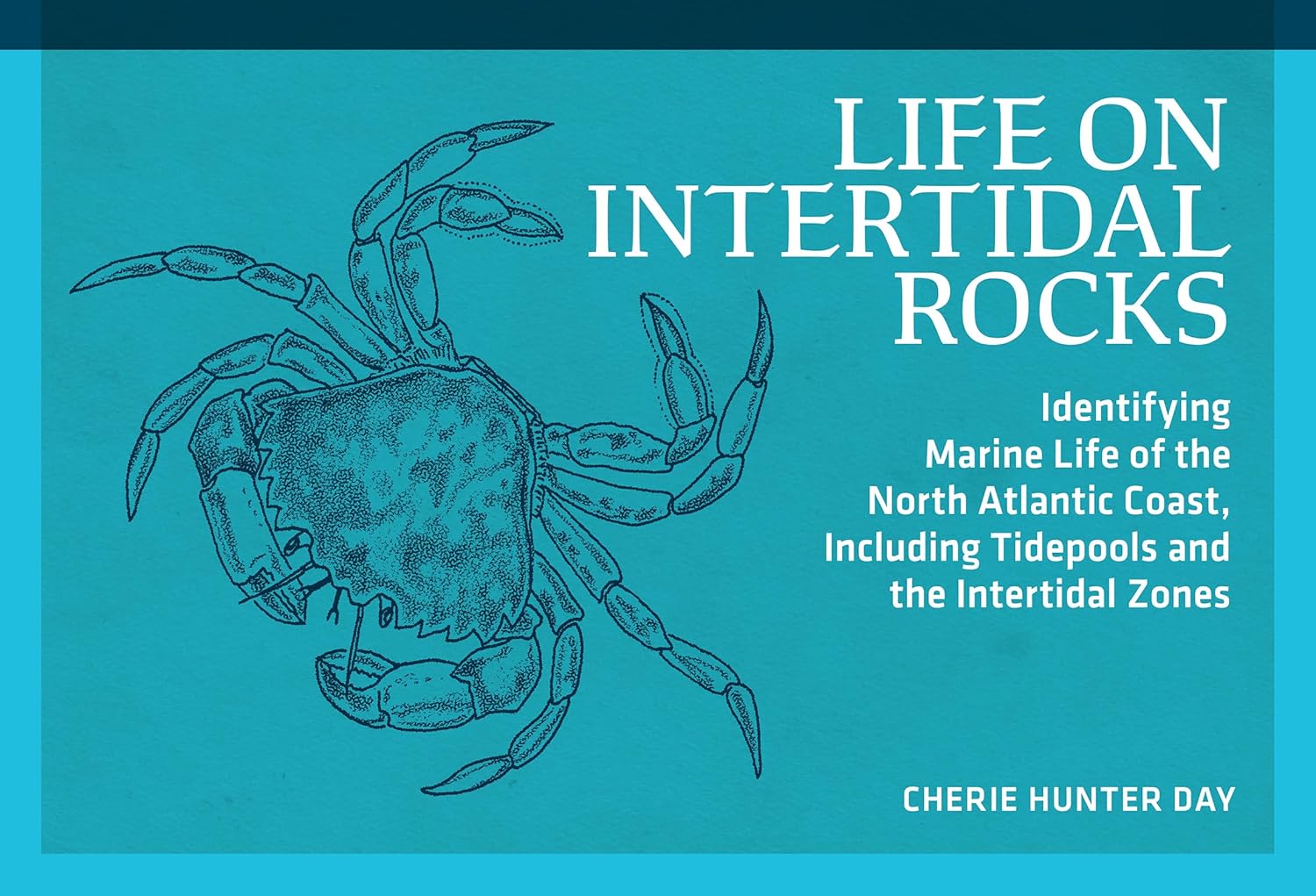Life on Intertidal Rocks: Identifying Marine Life of the North Atlantic Coast, Including ...