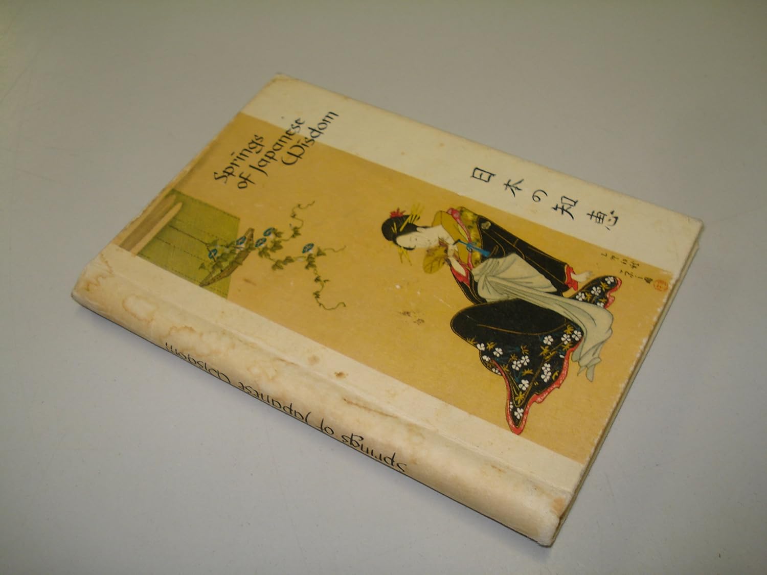 17 Springs of Japanese Wisdom (Springs of wisdom): Amazon.co.uk ...