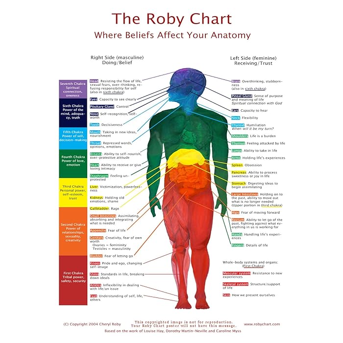 Buy The Roby Chart: Where Beliefs Affect Your Anatomy (White Background ...
