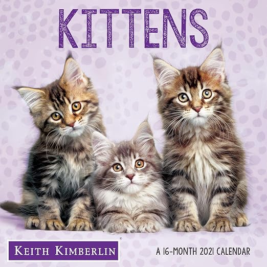 Keith Kimberlin Kittens Calendar: Trends: 9781438876290: Amazon.com: Books