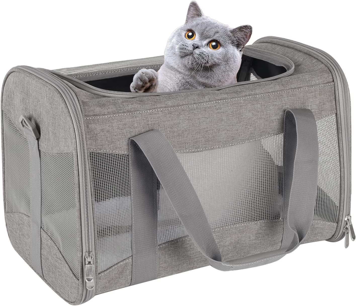 Amazon.com : Cat Carrying Case - Pet Carrier Airline Approved, Protable ...