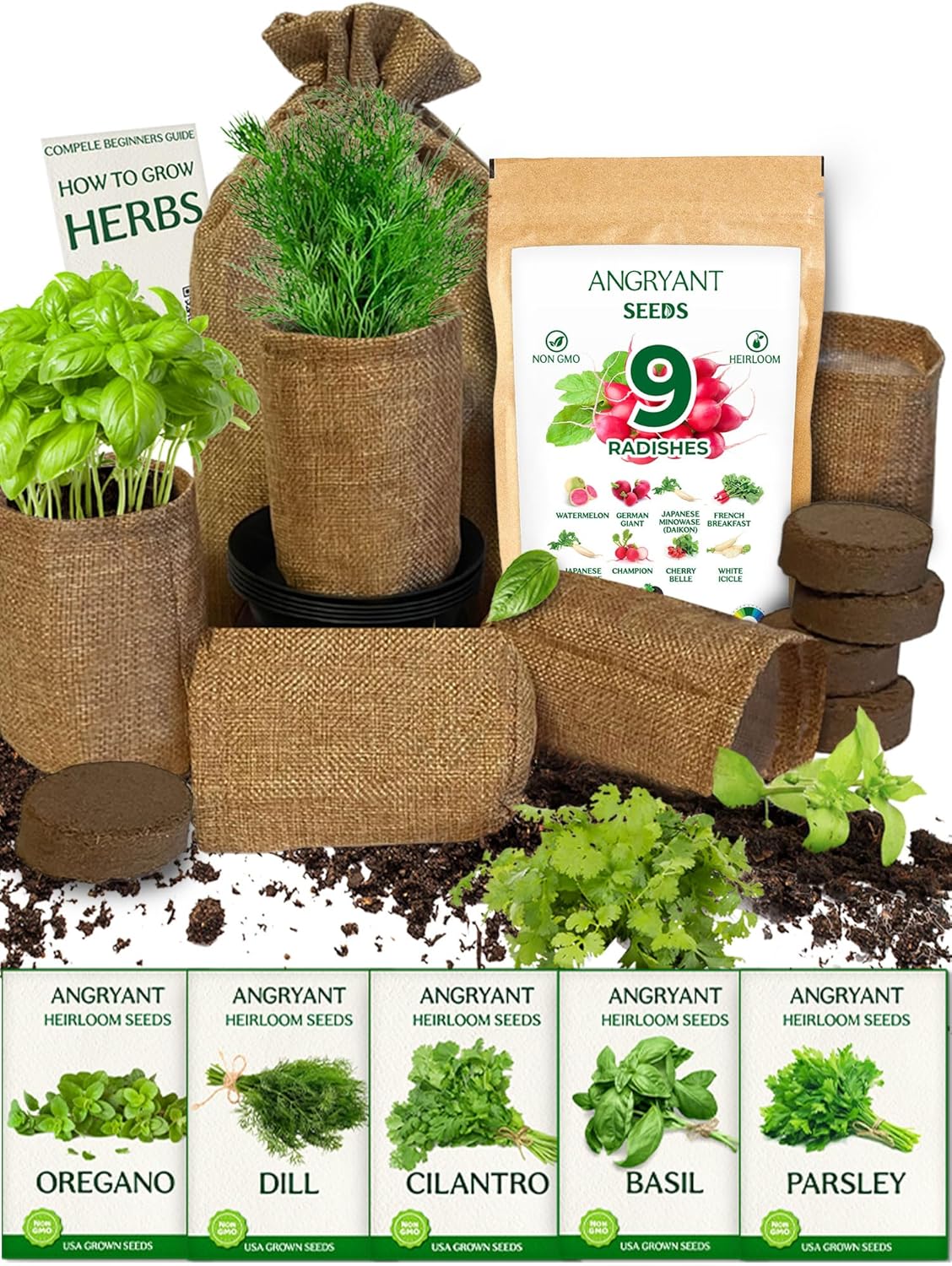Amazon.com : Set of Herbs Starter Kit with Basil, Parsley, Cilantro ...