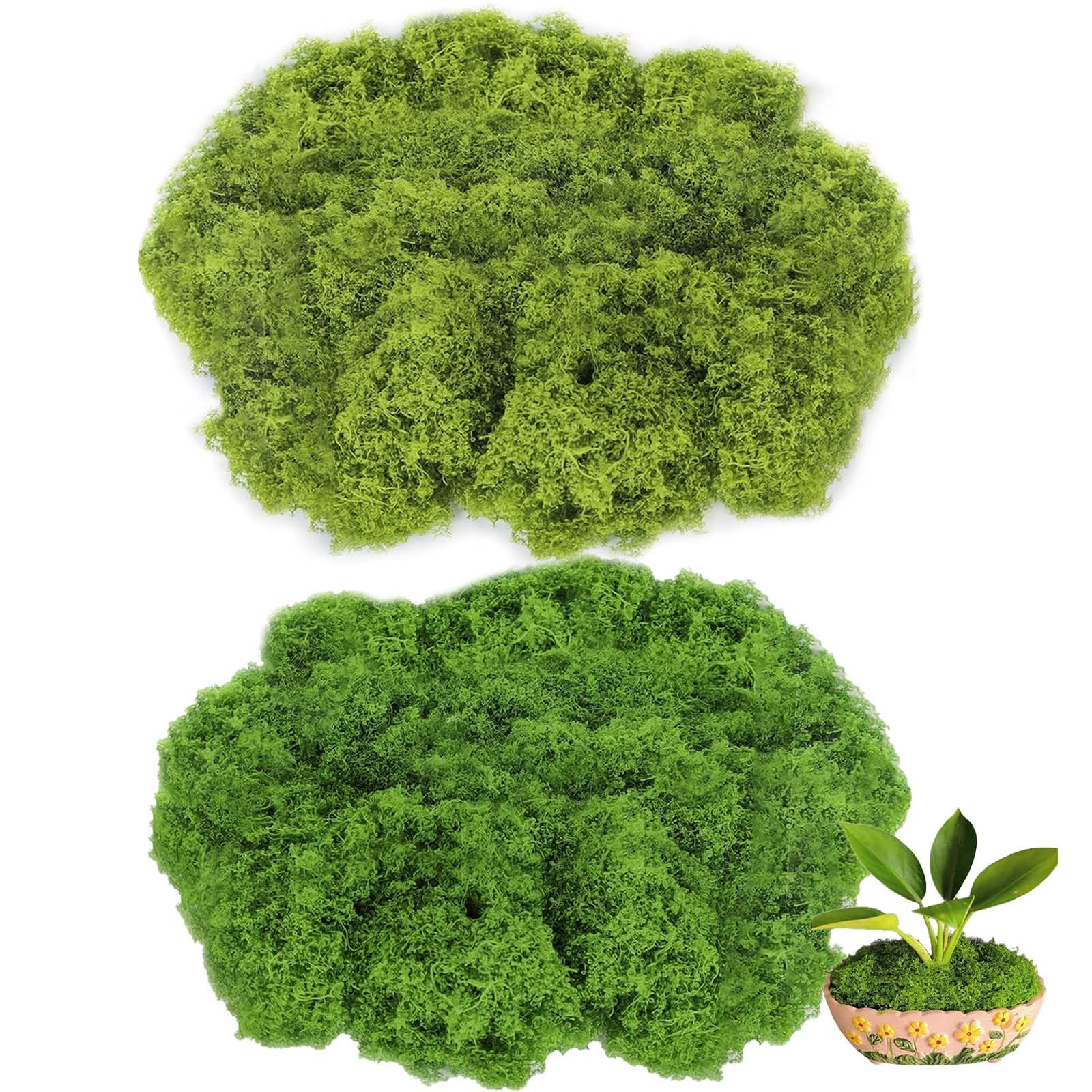 Amazon.de: Moos in 2 versch Farben, 100g für Moosbilder, Moosbild ...