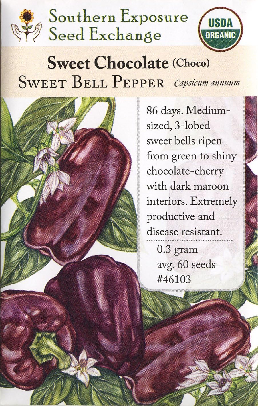 Amazon.com: Honeyman Farms Pepper, Bell (Sweet) Sweet Chocolate (Choco ...