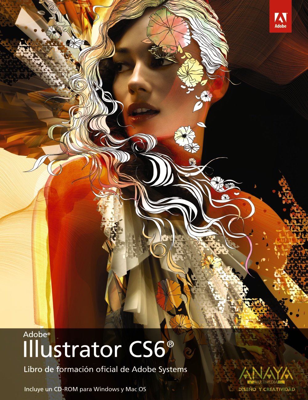 Amazon | Illustrator CS6 / Adobe Illustrator CS6 Classroom in a Book ...