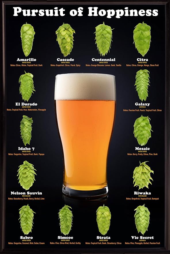 Amazon.com: Pursuit of Hoppiness, Beer Chart Poster - 24x36, Shiny ...