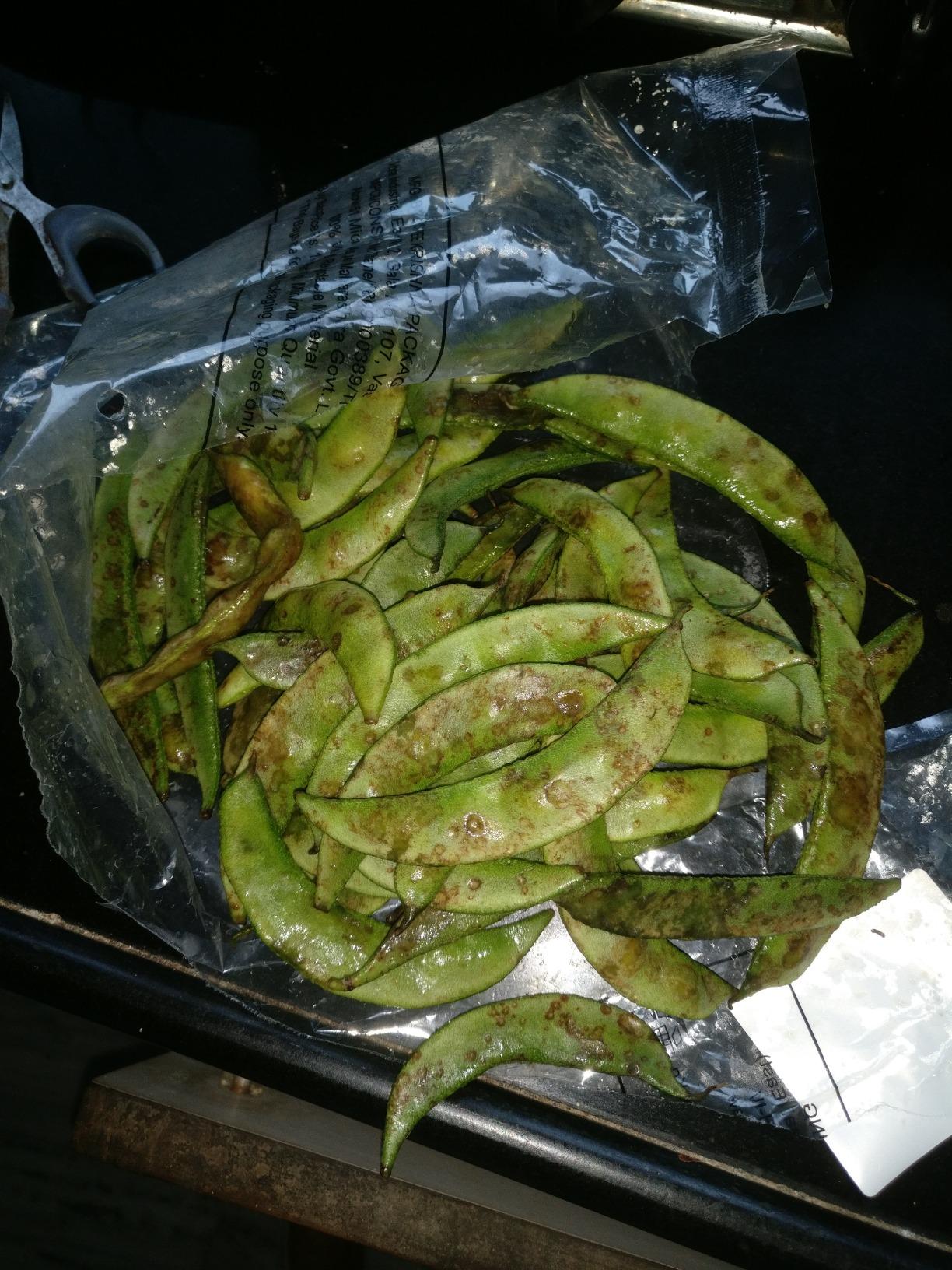 Fresh Broad Beans, Avare Chikadi, 250g : Amazon.in: Grocery & Gourmet Foods