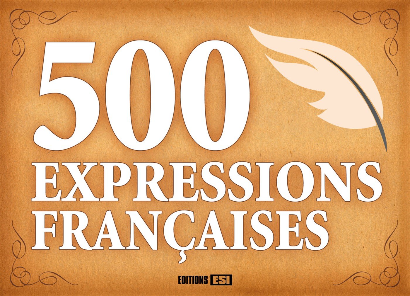Amazon.com: 500 EXPRESSIONS FRANCAISES (0): 9782822602884: MAIRE ...