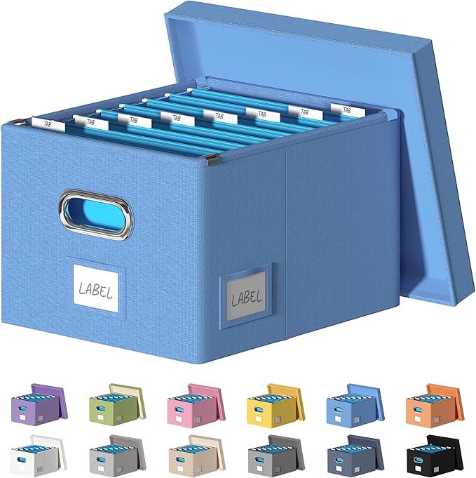 Amazon.com: DYWMM File Organizer Collapsible Storage Box for Office ...