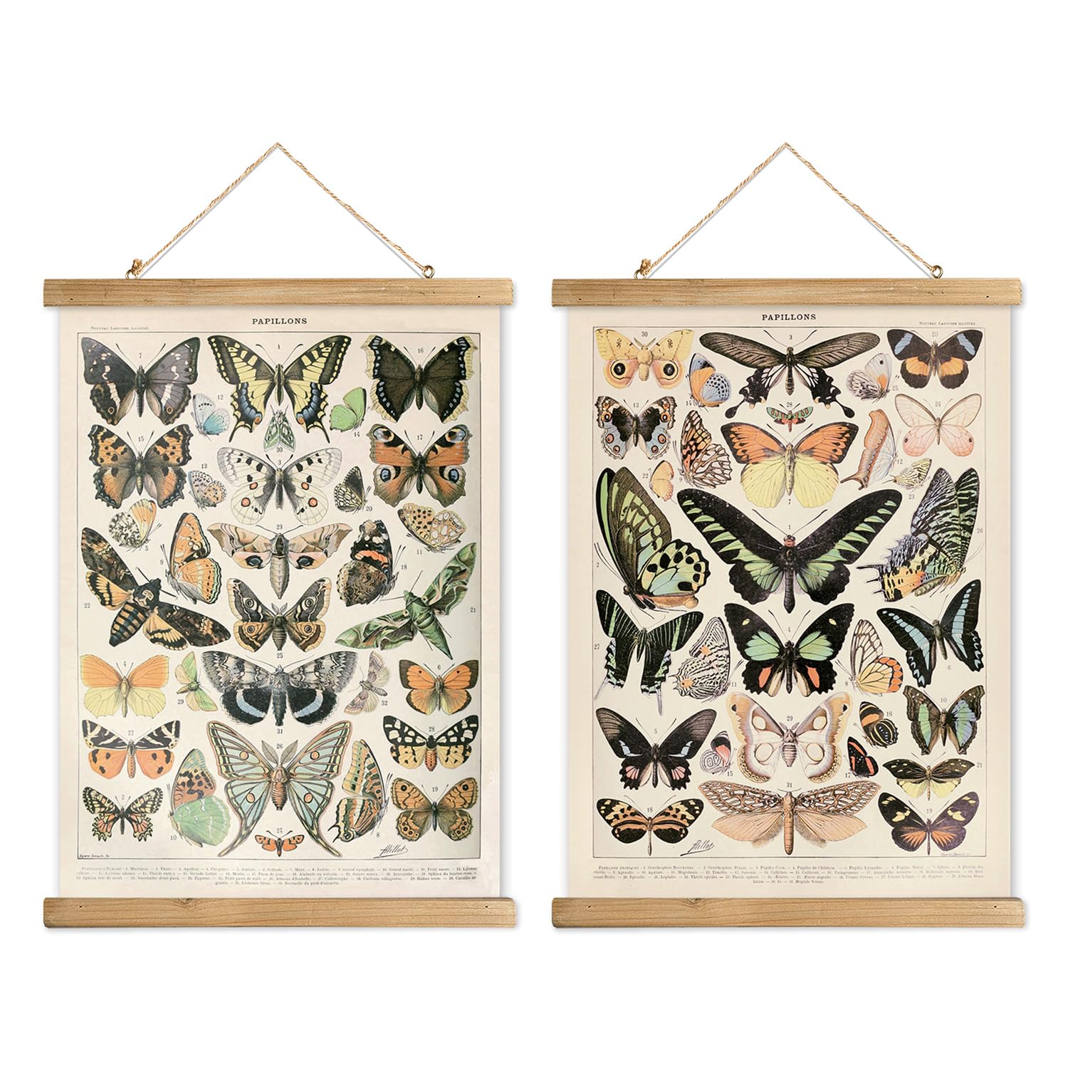 Snapklik.com : XIAOAIKA 2 Pack Vintage Butterfly Poster - Cottagecore ...