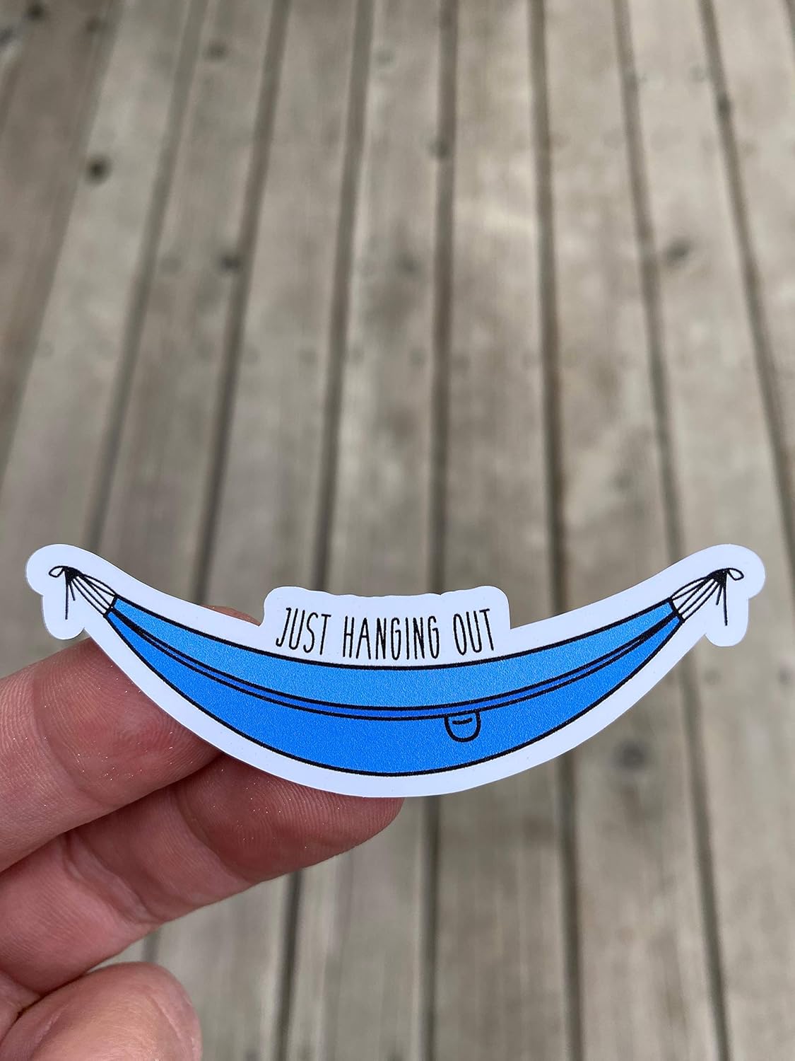 Amazon.com: Just Hanging Out Sticker, Laptop Sticker, Water Bottle ...