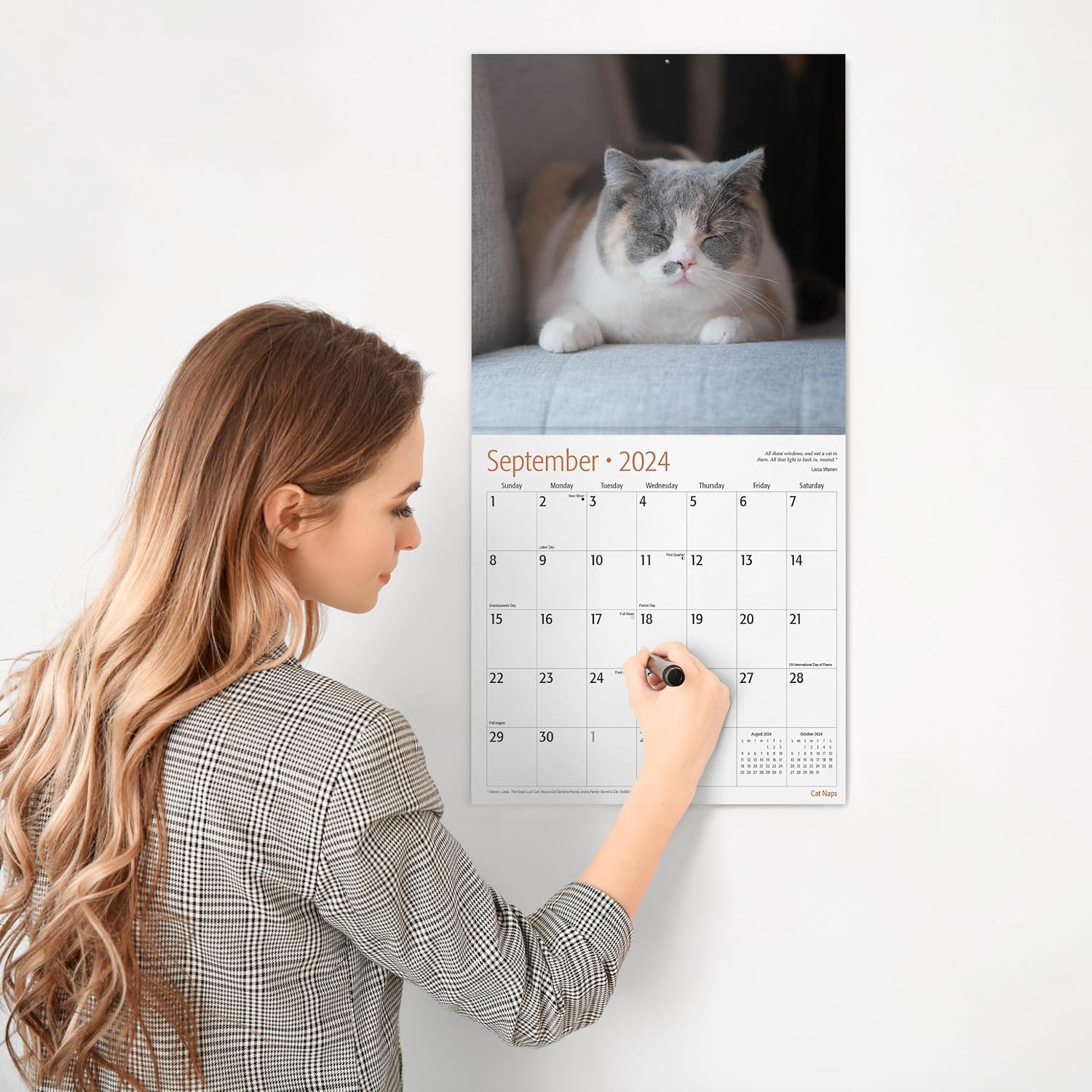 RED EMBER Cat Naps – Calendario mensual de pared colgante 2024 12 x 24 ...