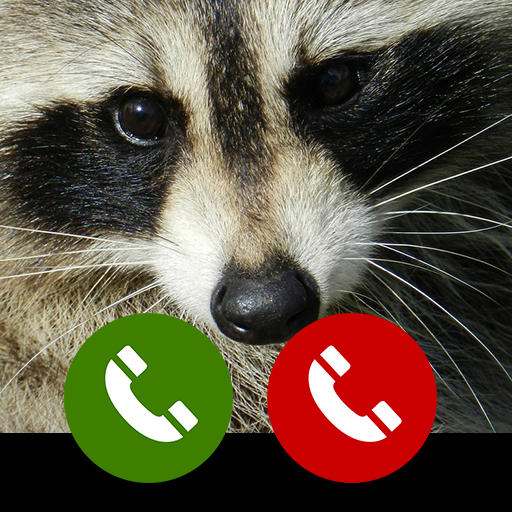 Fake call from Cute Raccoon - App on Amazon Appstore