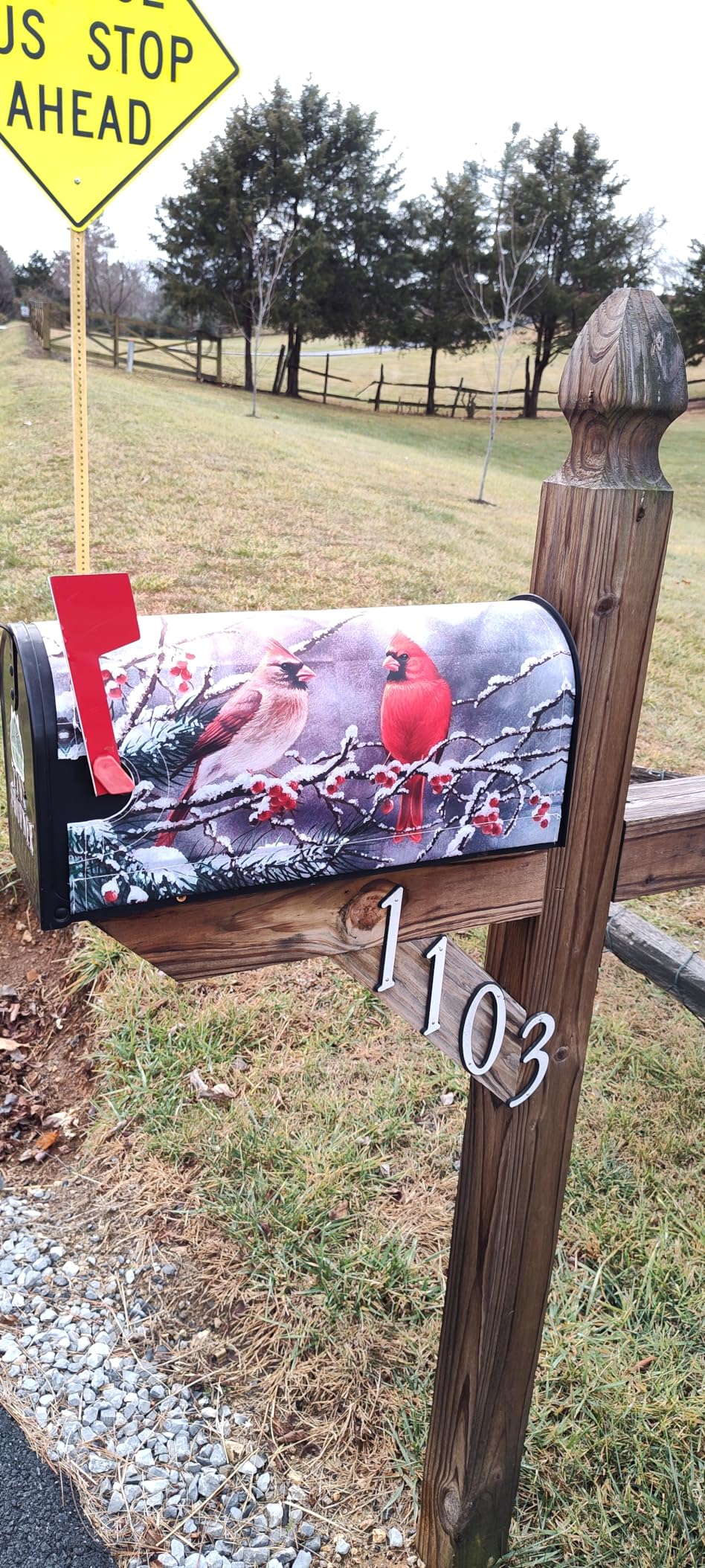 Amazon.com: Daisy Floral Mailbox Cover Magnetic Standard Size 21" x 18 ...