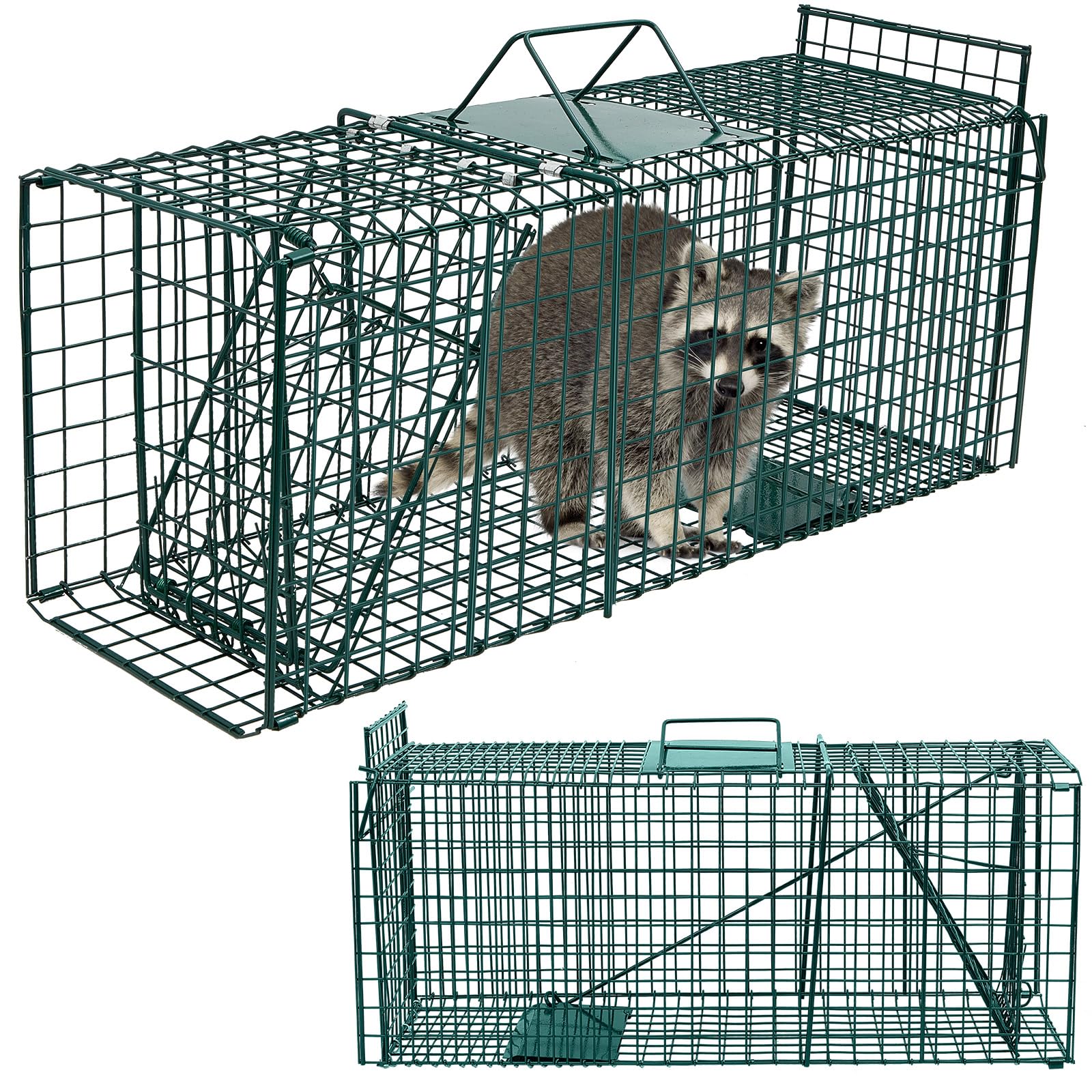 Amazon.com : Qualirey 2 Pcs Humane Squirrel Trap Heavy Duty Live Animal ...