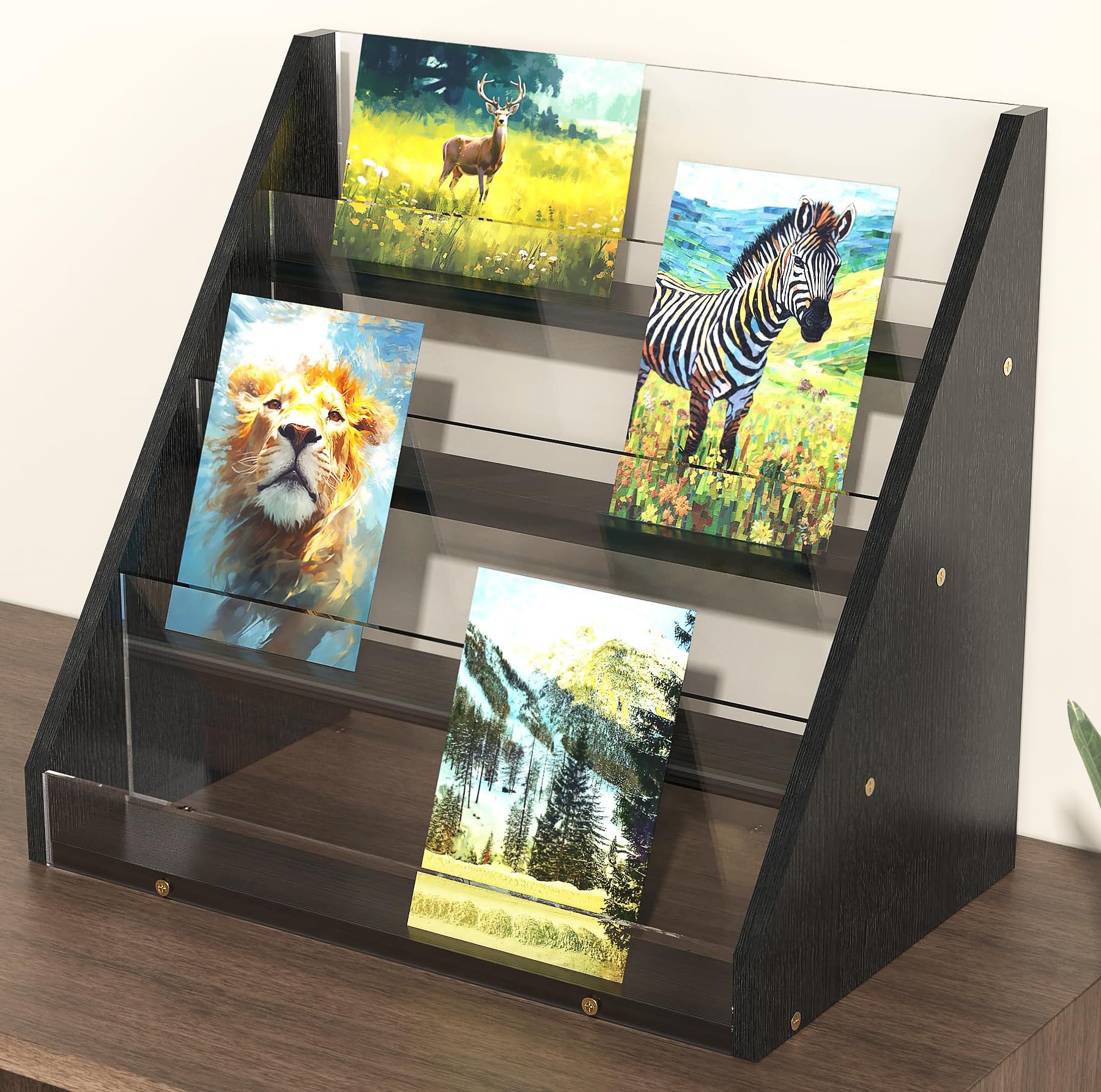 Amazon.com : NiHome 4-Tier Bamboo & Acrylic Greeting Card Display Stand ...