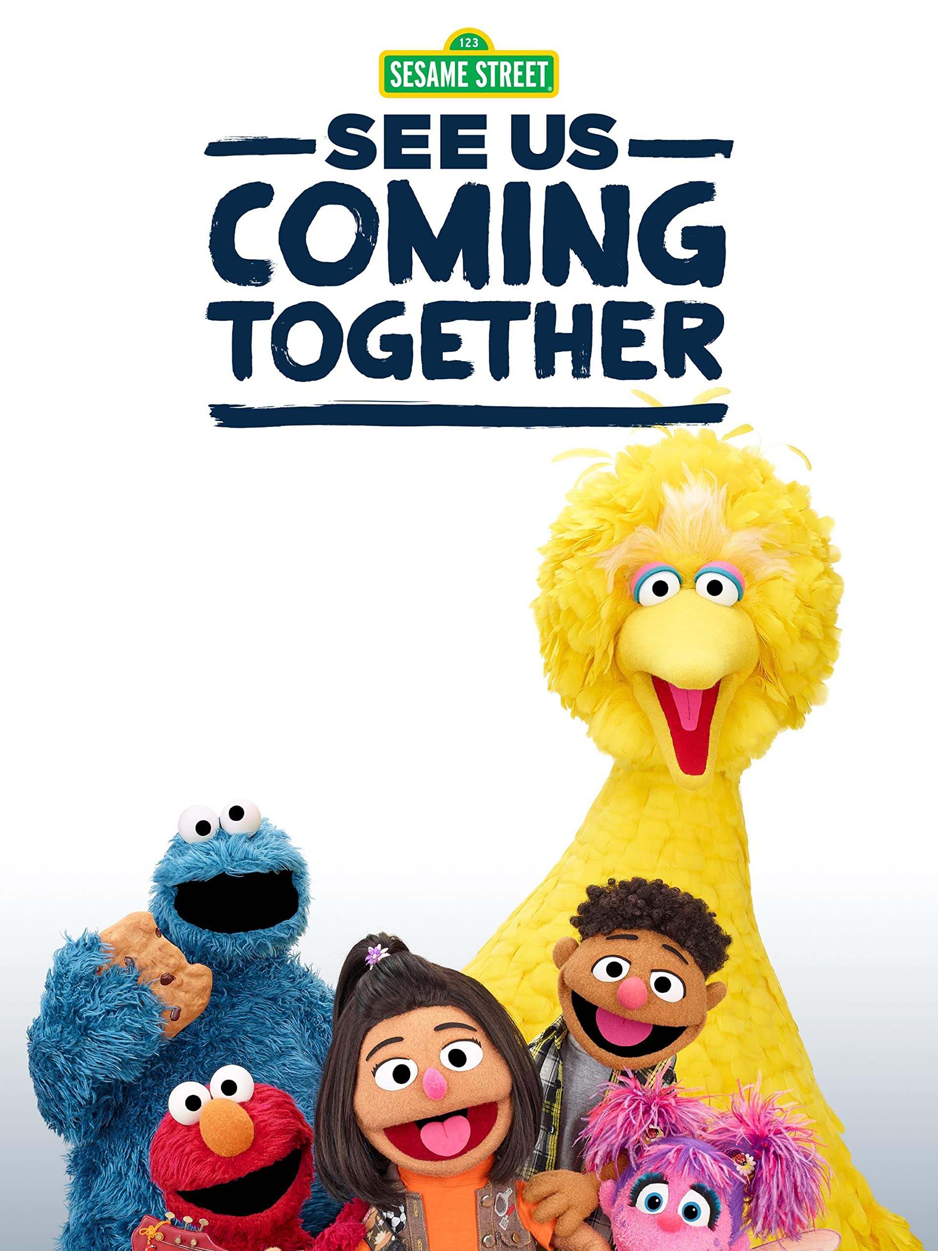Amazon.com: See Us Coming Together: A Sesame Street Special : Ken ...
