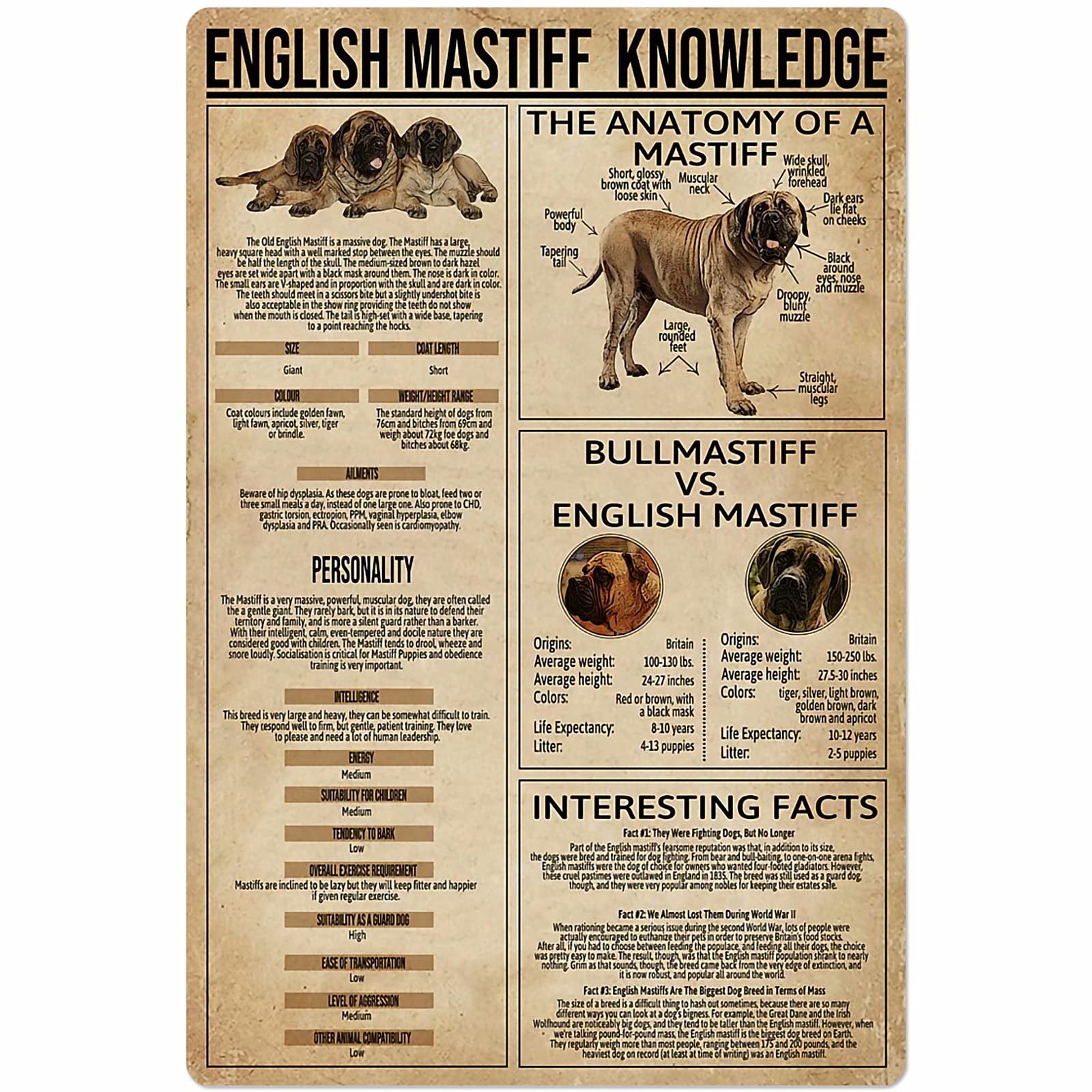 English Mastiff Size Chart Growth English Mastiff Puppy Weight Chart