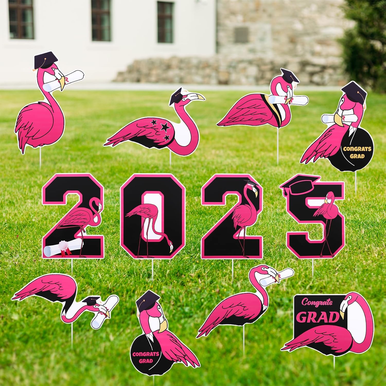Amazon.com : Memorywuu 12 Pcs Flamingo Graduation Yard Signs Class of ...