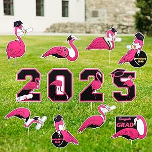 Amazon.com : Memorywuu 12 Pcs Flamingo Graduation Yard Signs Class of ...