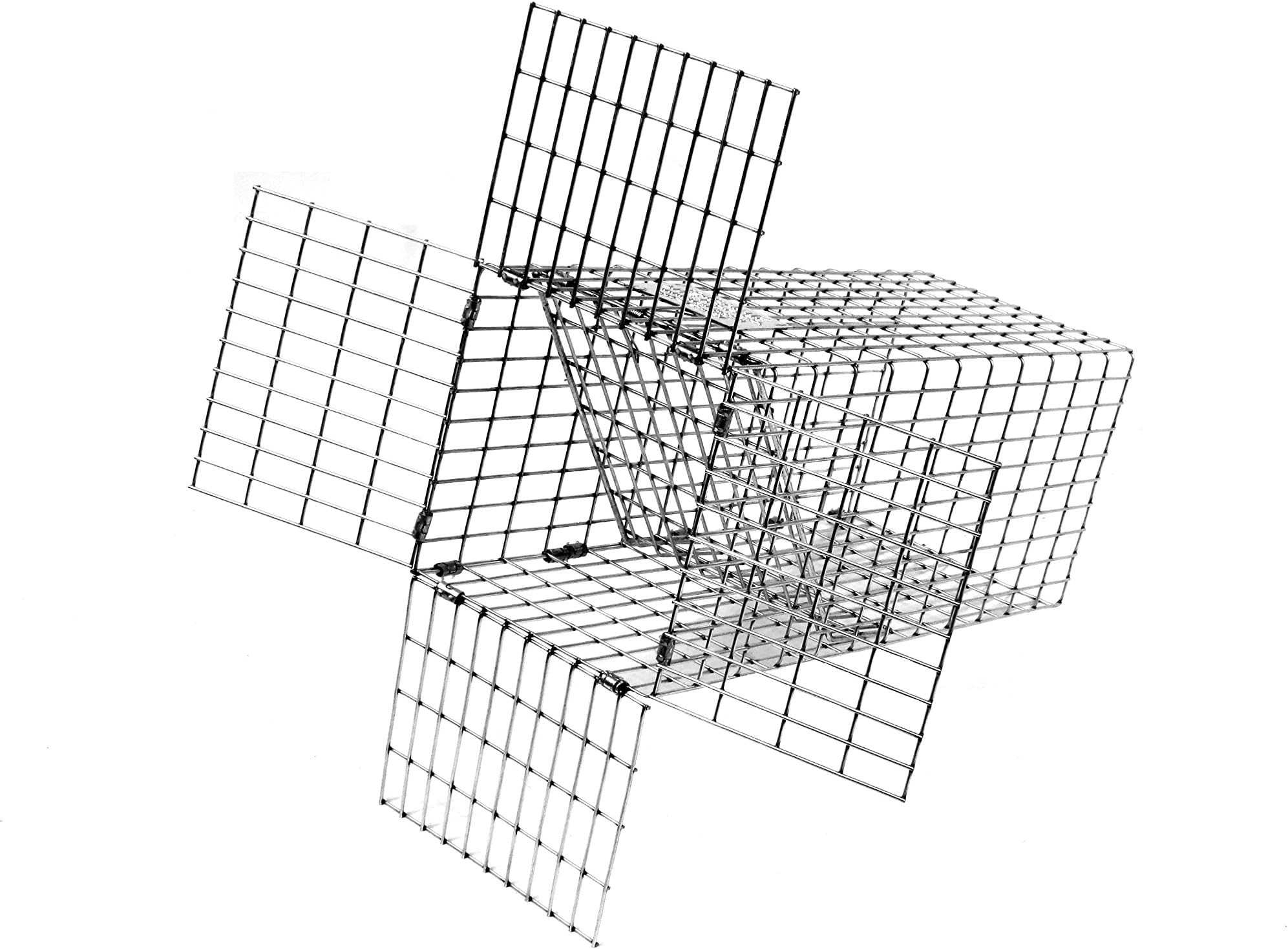 Amazon.com : Tomahawk Model E40 Excluder for Squirrels and Similar Size ...