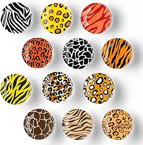 Amazon.com: EaicsLaif Fridge Magnets for Adults 12 Pcs Decorative Glass ...