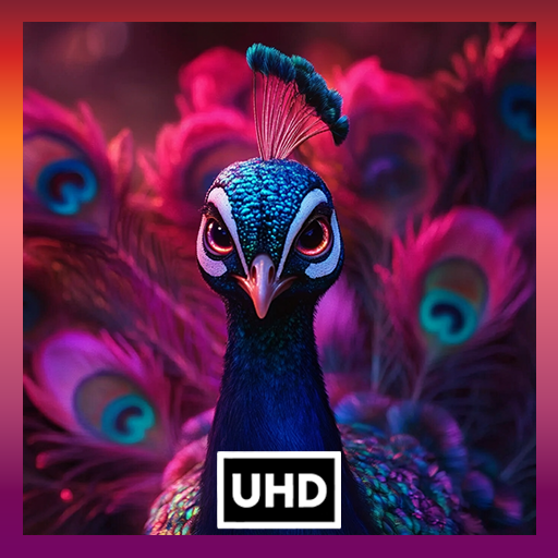 Peacock Ambience: Relaxing Screensavers with Stunning Peacock Visuals - App on Amazon Appstore