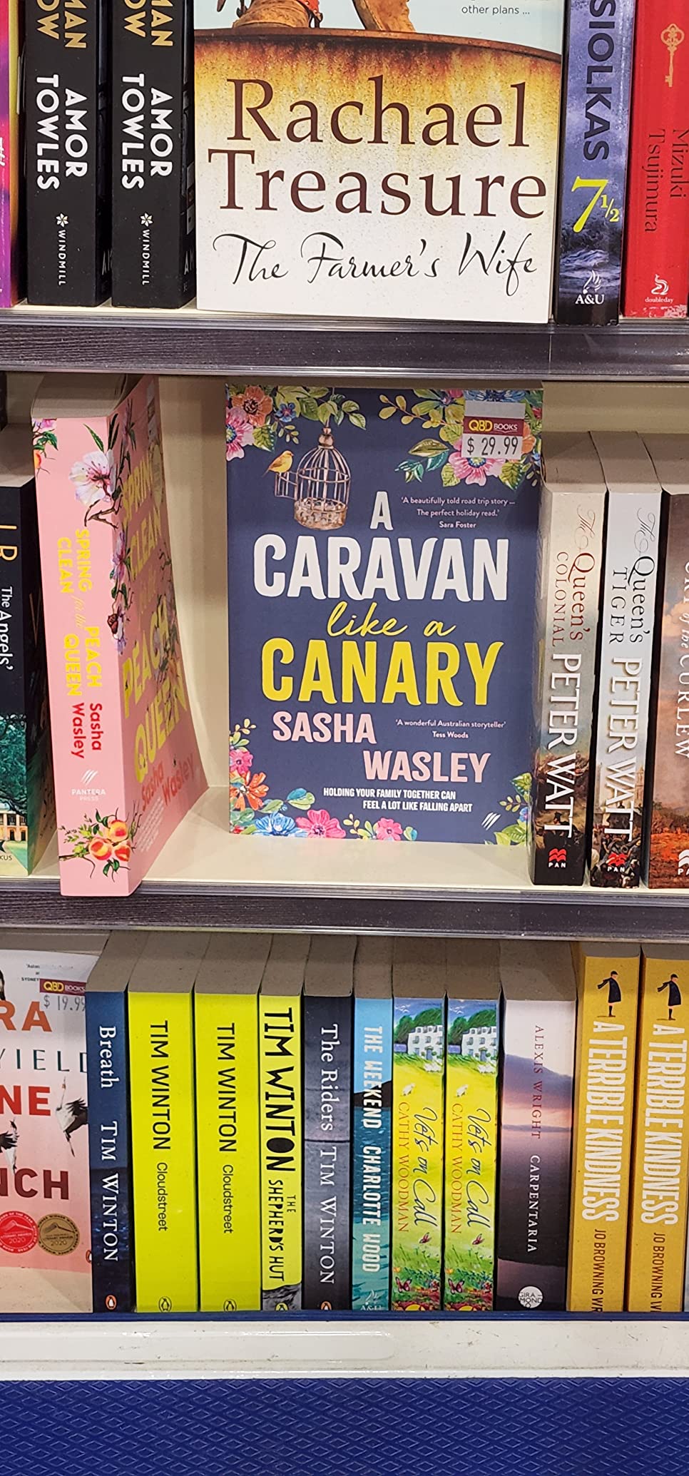 A Caravan Like a Canary : Wasley, Sasha, Ramsdale, Cecelia: Amazon.com ...